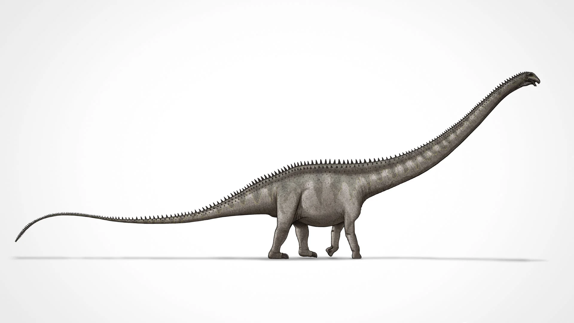 At 137 feet, the new Supersaurus might be the longest dinosaur ever ...