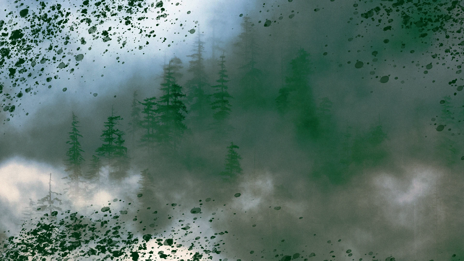 This map shows exactly where the world's most important carbon is ...