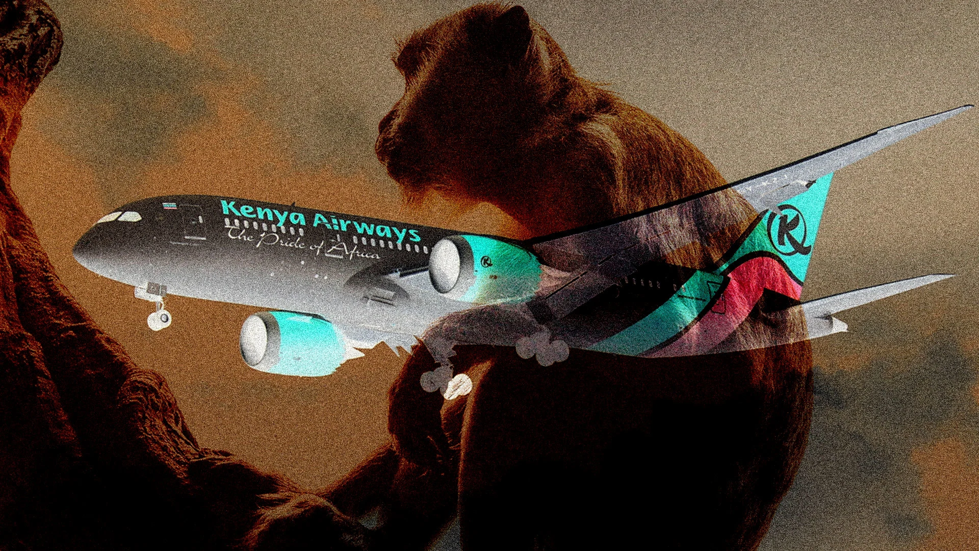 No more monkey business for some airlines after horrific truck accident ...