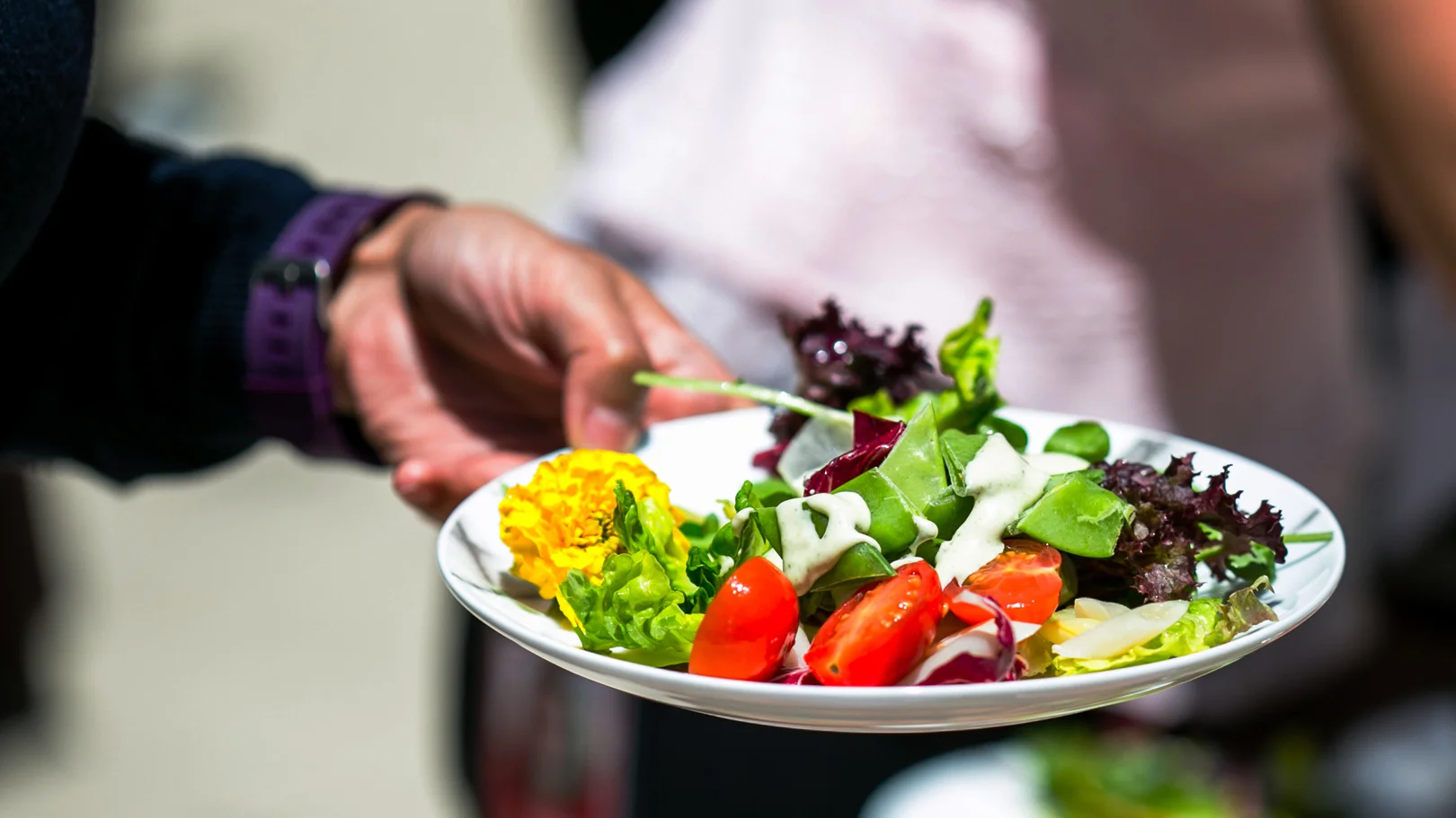 Google says it's reduced food waste just by using different bowls ...