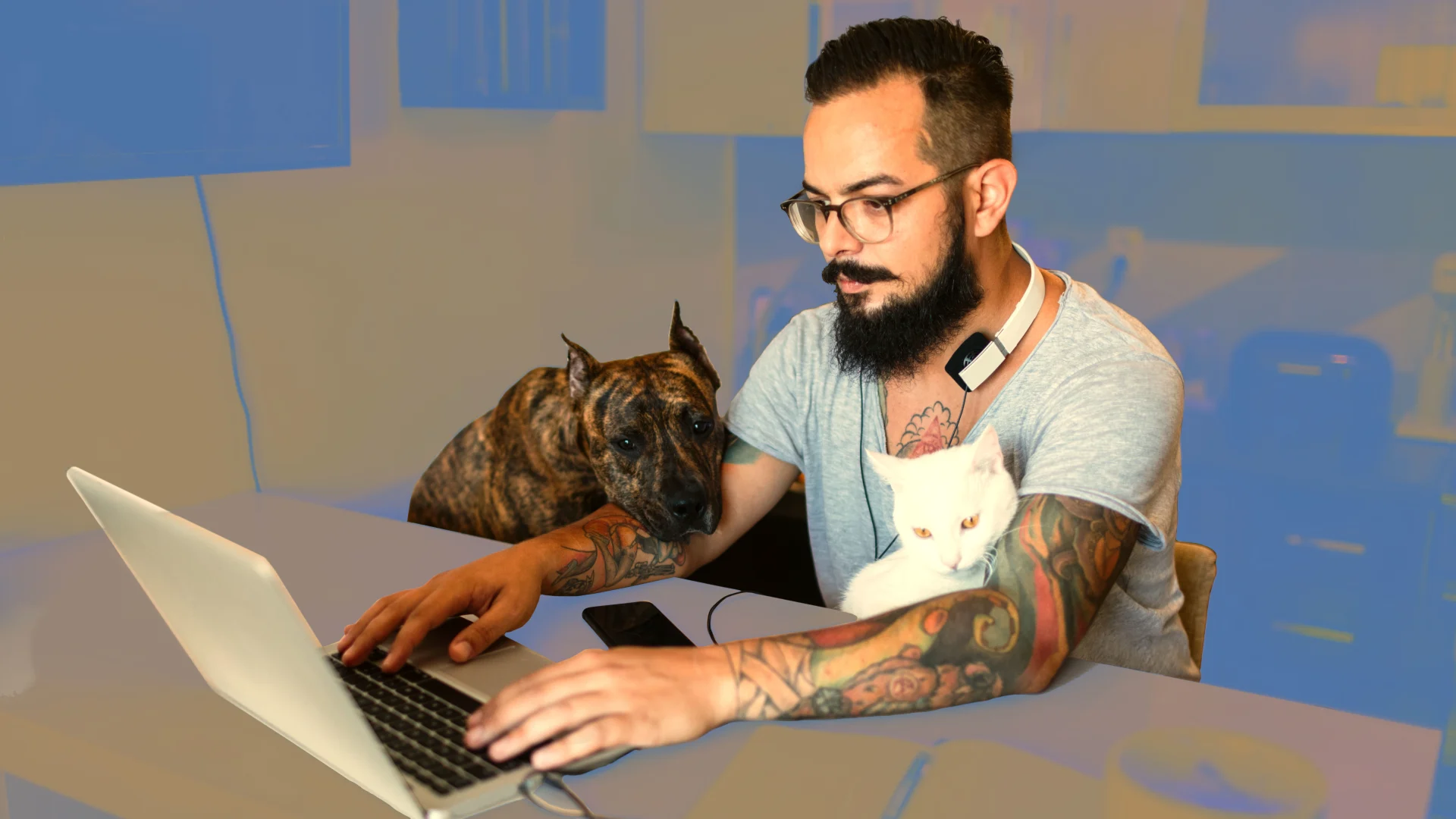 These are the times when it's OK to turn your camera off in a meeting ...