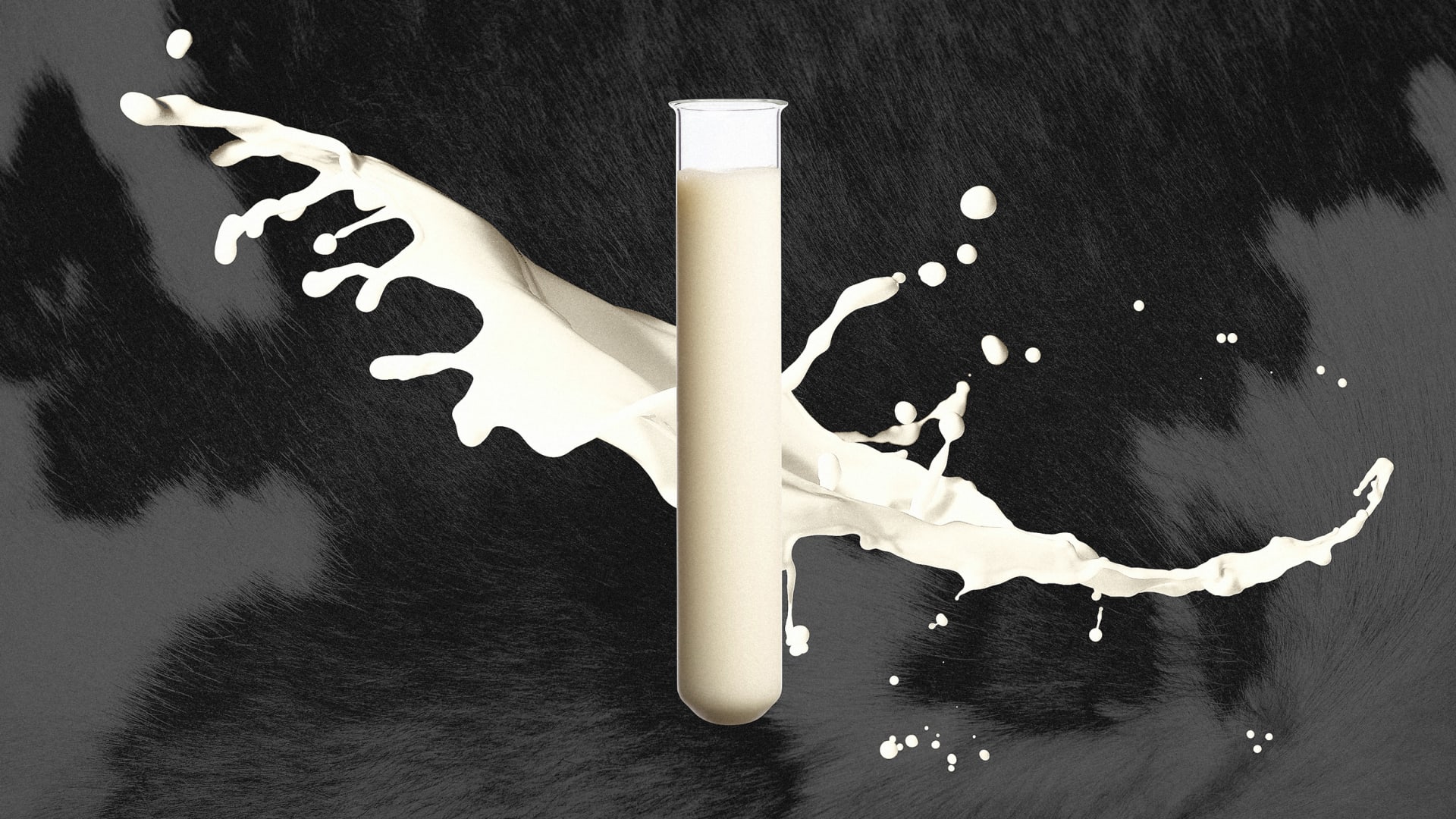 This startup is milking cow cells in a lab for animal-free dairy - Fast ...
