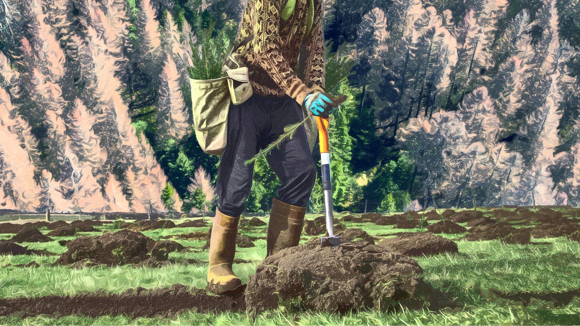 Tree planting programs can actually do more harm than good - Fast Company