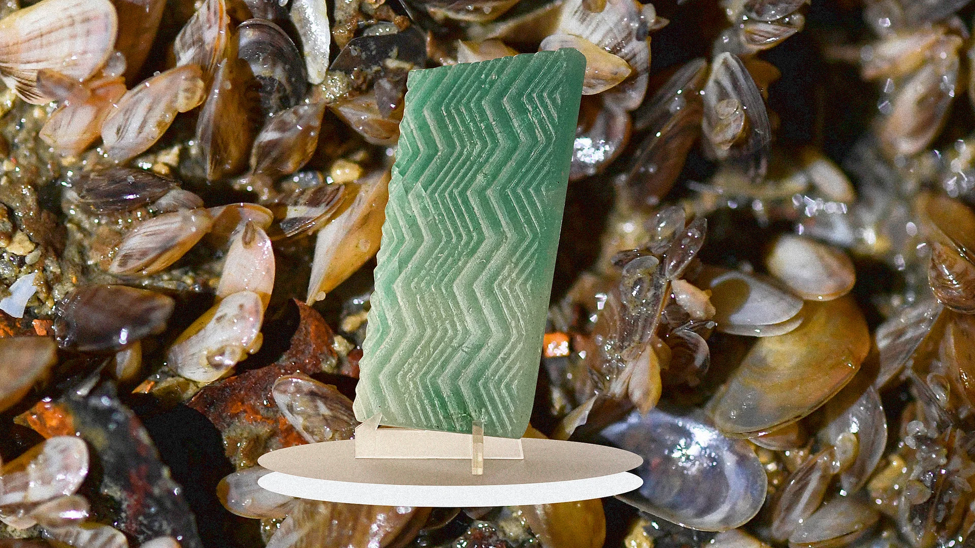 Mussel shells are clogging London's water pipes, but one designer found ...