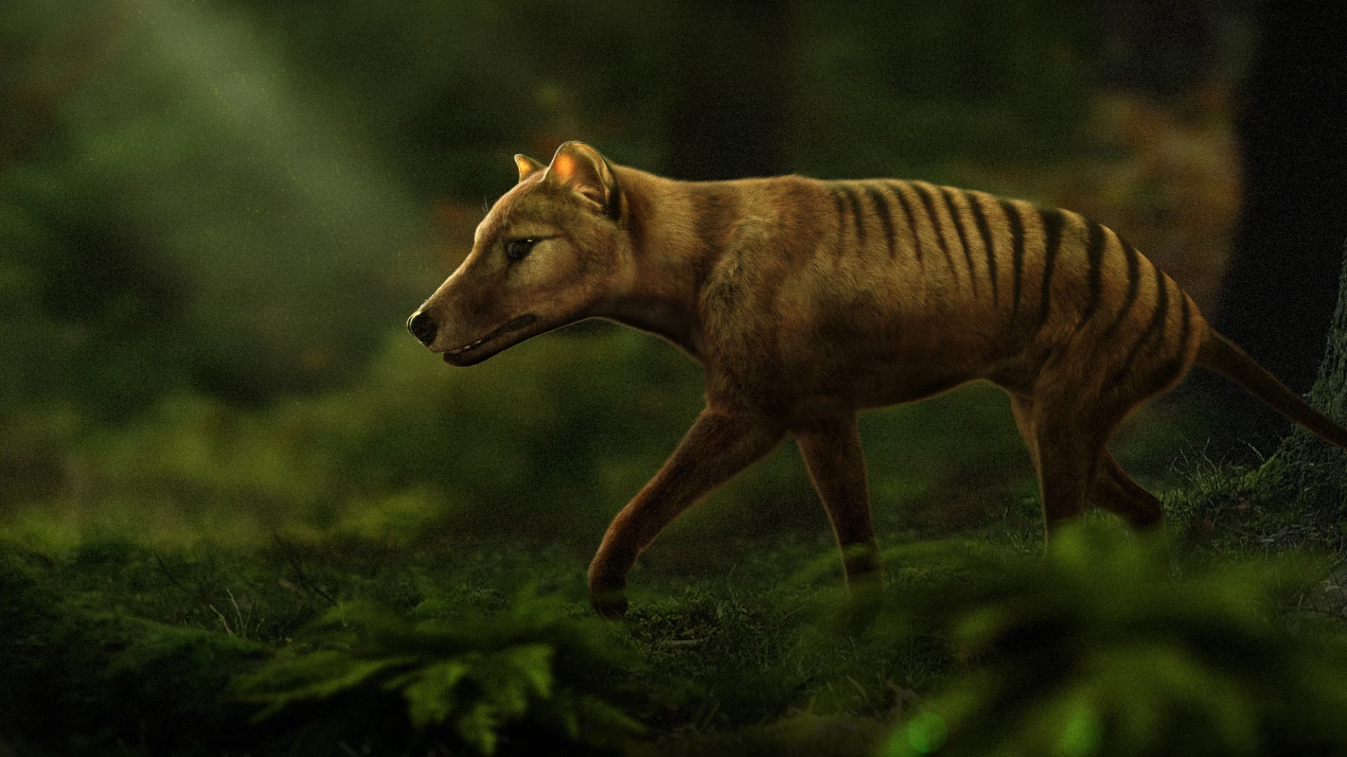 This company is using gene editing to bring the Tasmanian tiger back ...