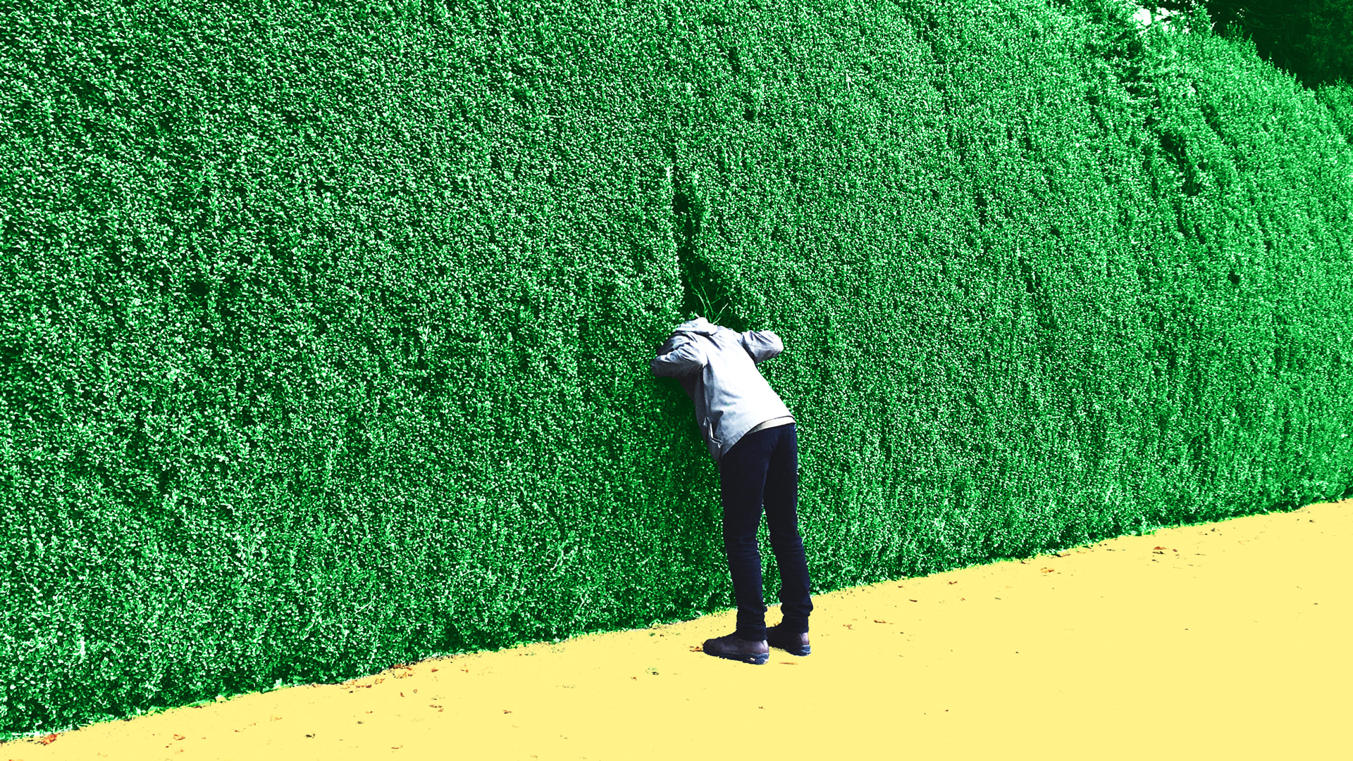 Why we should embrace 'radical curiosity' and learn to ask better ...