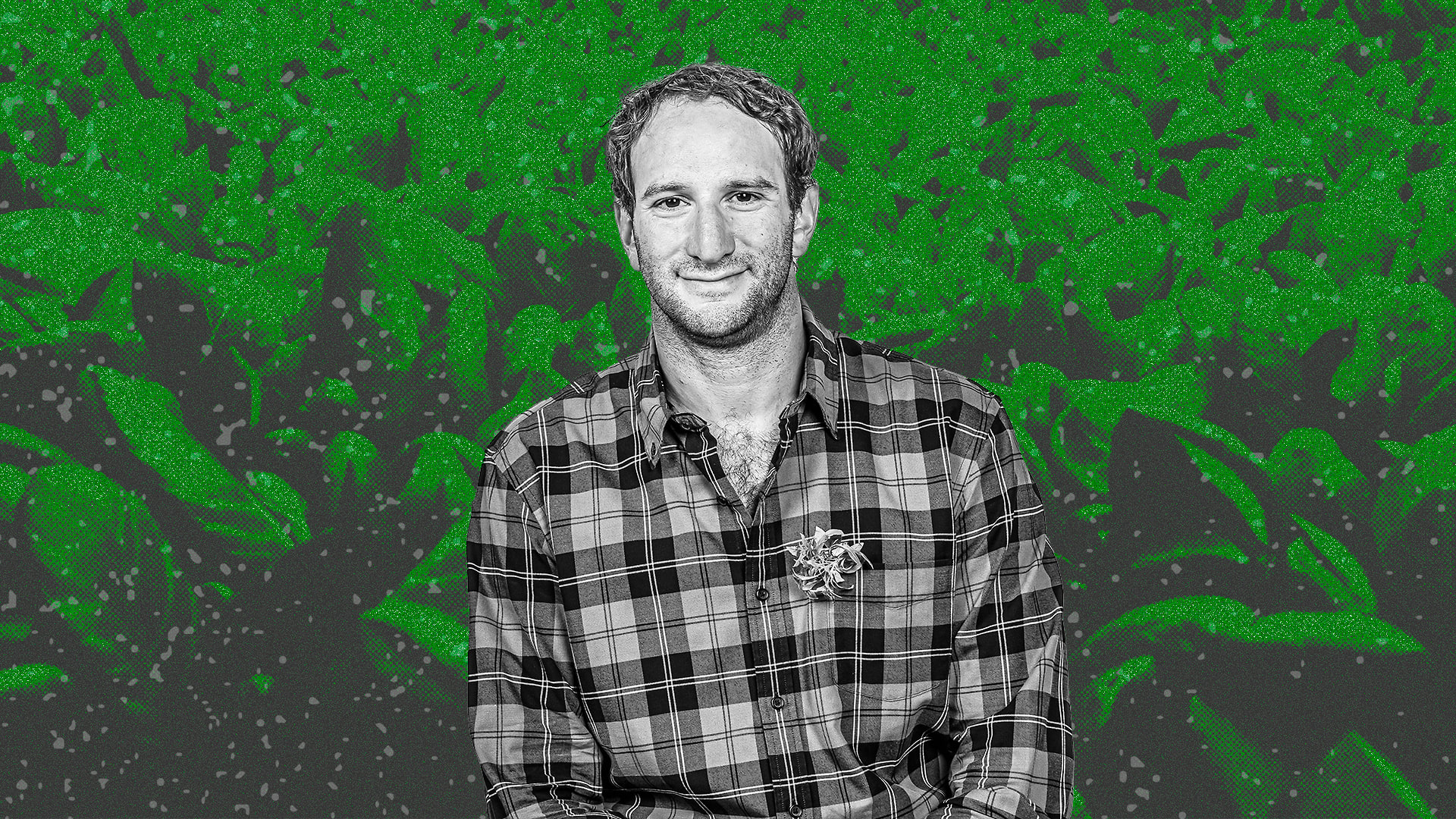 These smart farms are 100 times more productive than traditional ...