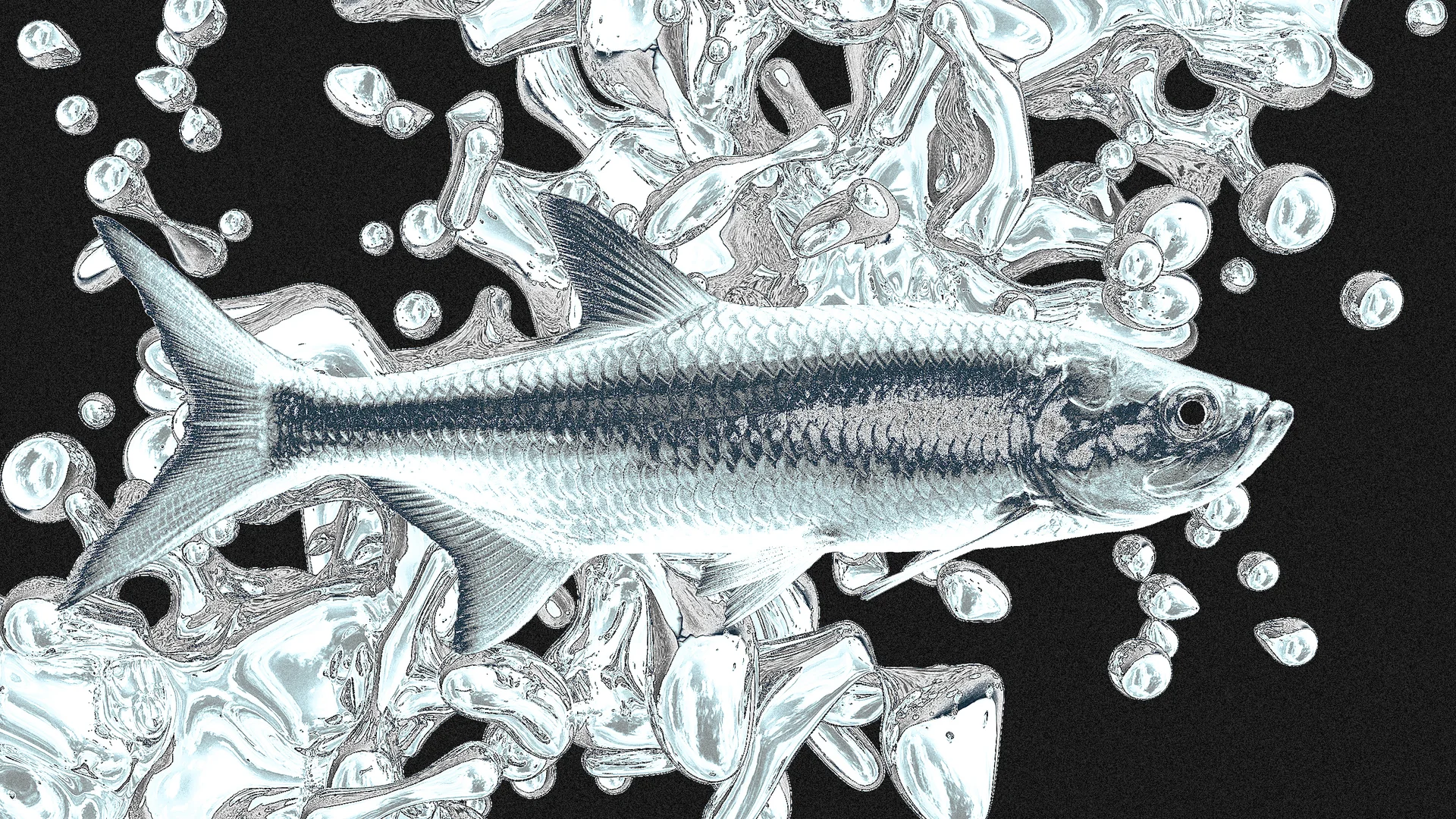This 17-year-old is using fish waste to clean up heavy metal pollution ...