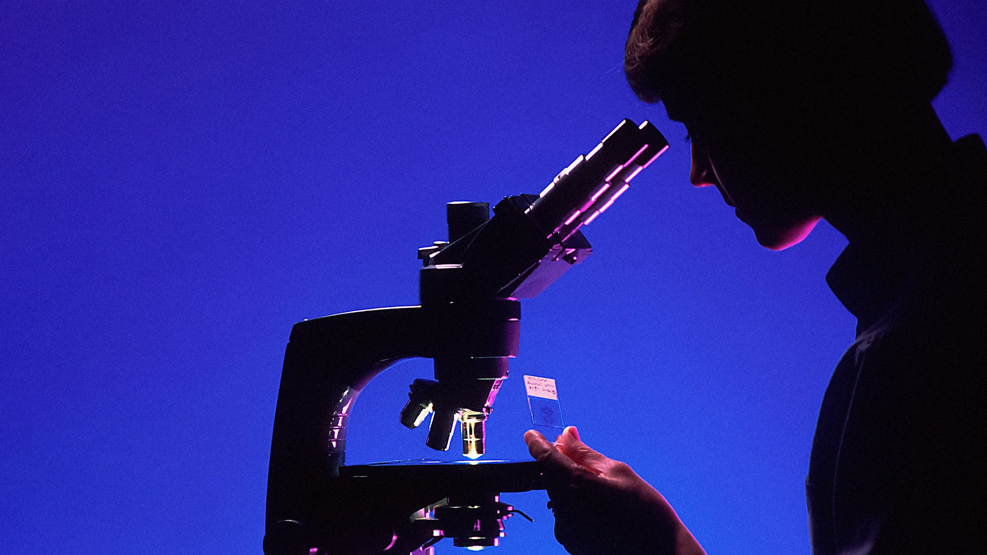 How educators can enourage students to stay in STEM fields - Fast Company