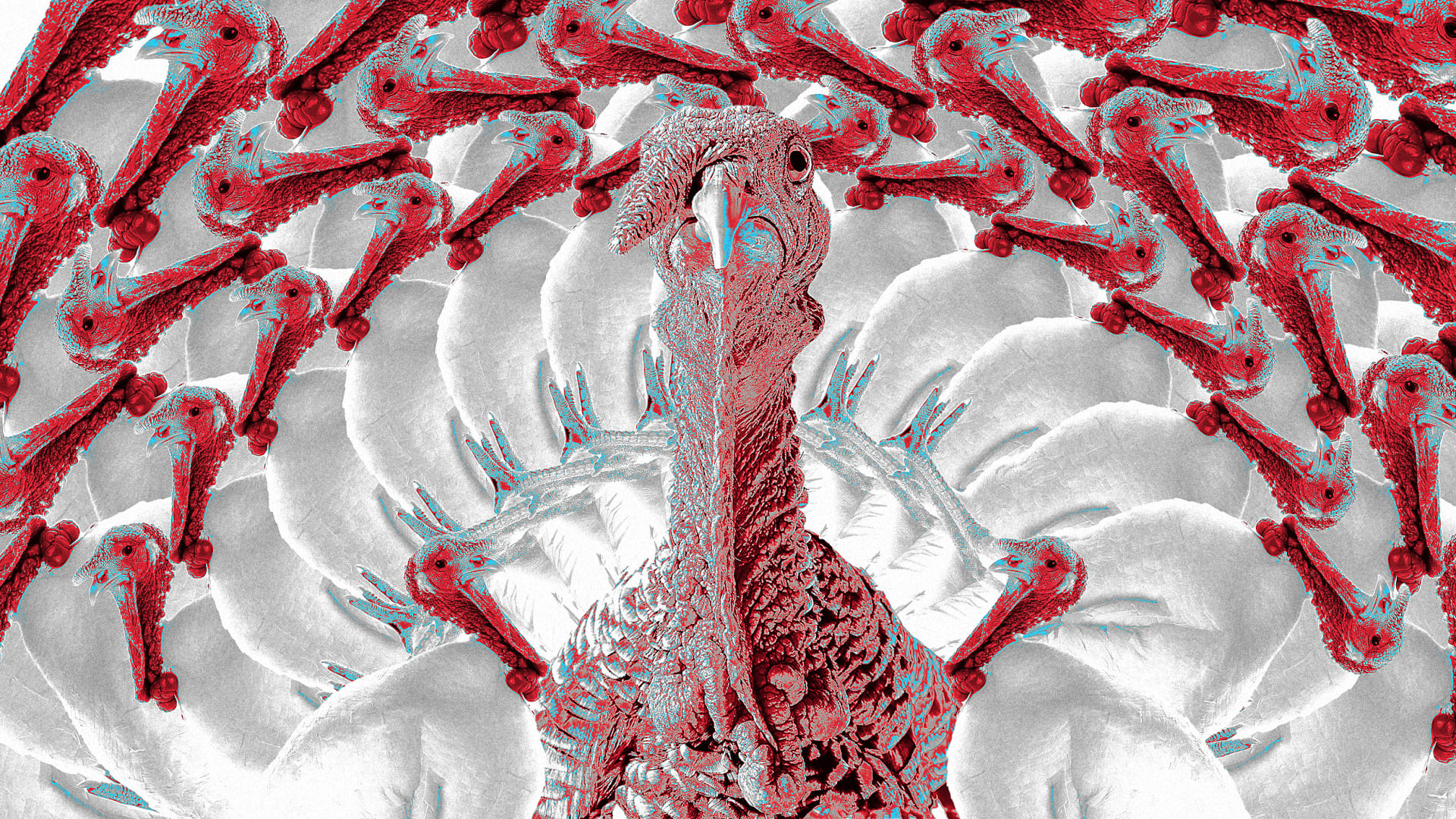 Seeing more expensive turkeys this Thanksgiving? Blame bird flu - Fast ...