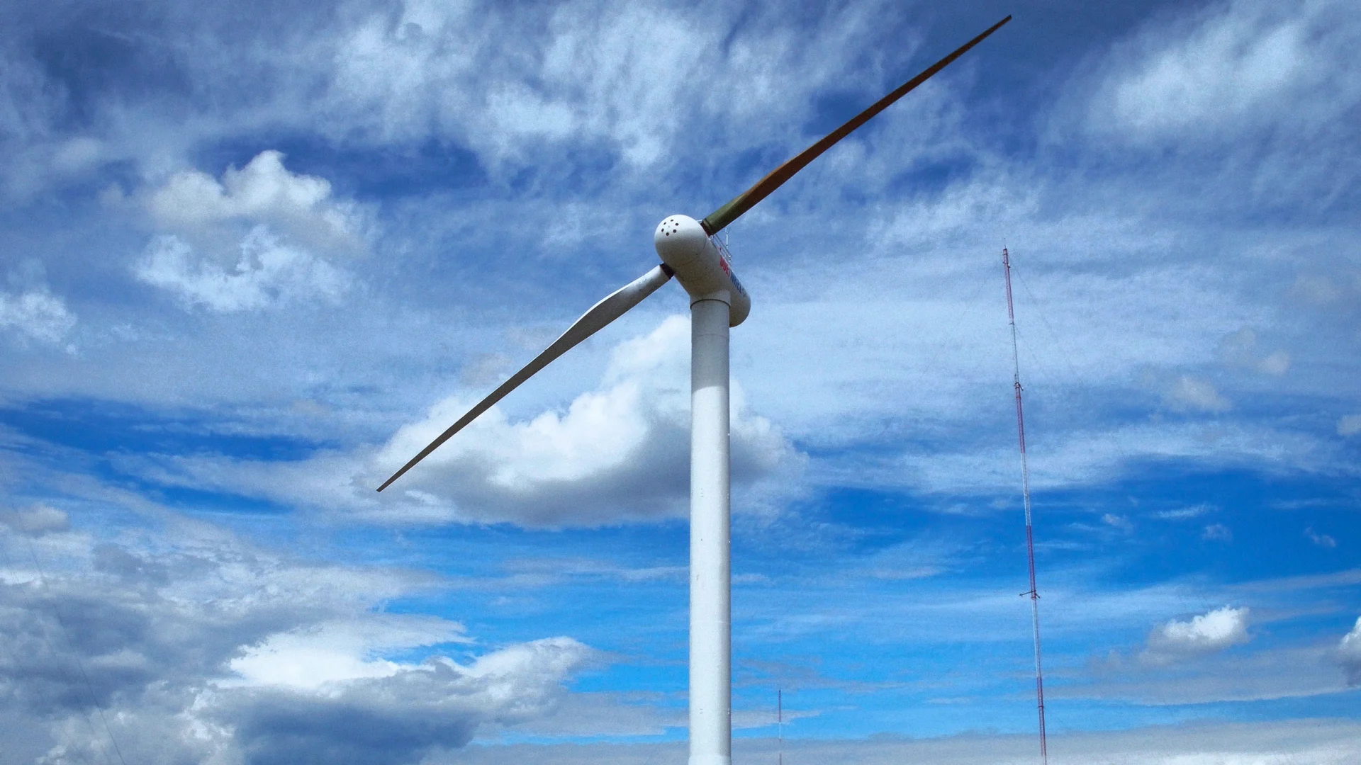 These palm-tree-inspired wind turbines are designed to bend in ...