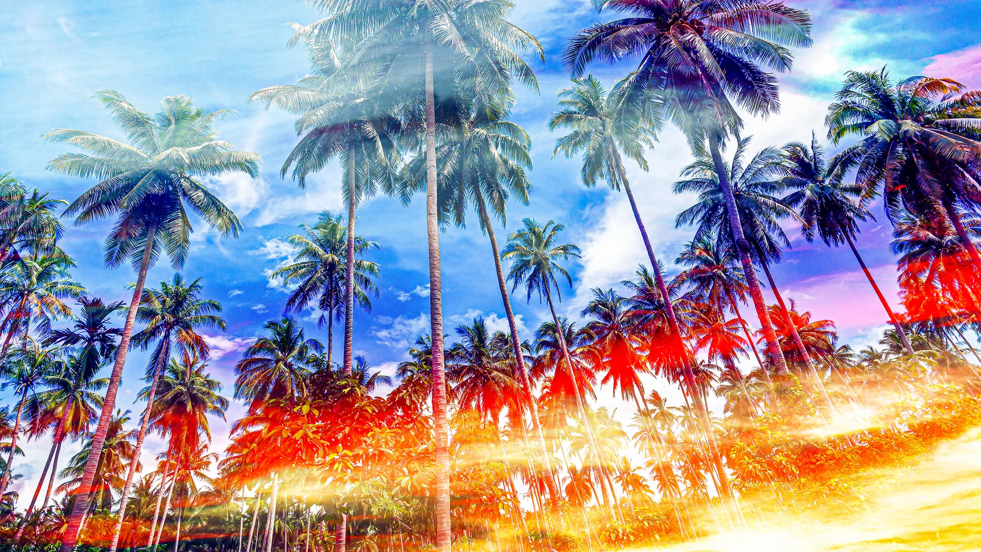 Moving to Florida from NYC or California? You're helping usher in a ...