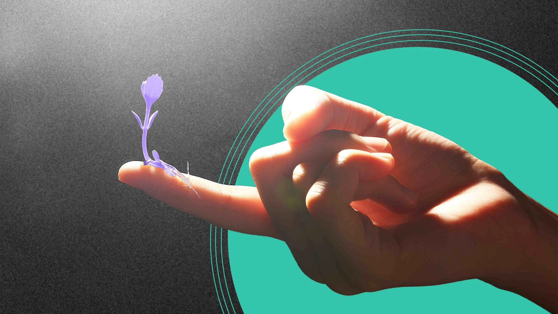 The resolution revolution: Personal growth resolutions for every type ...