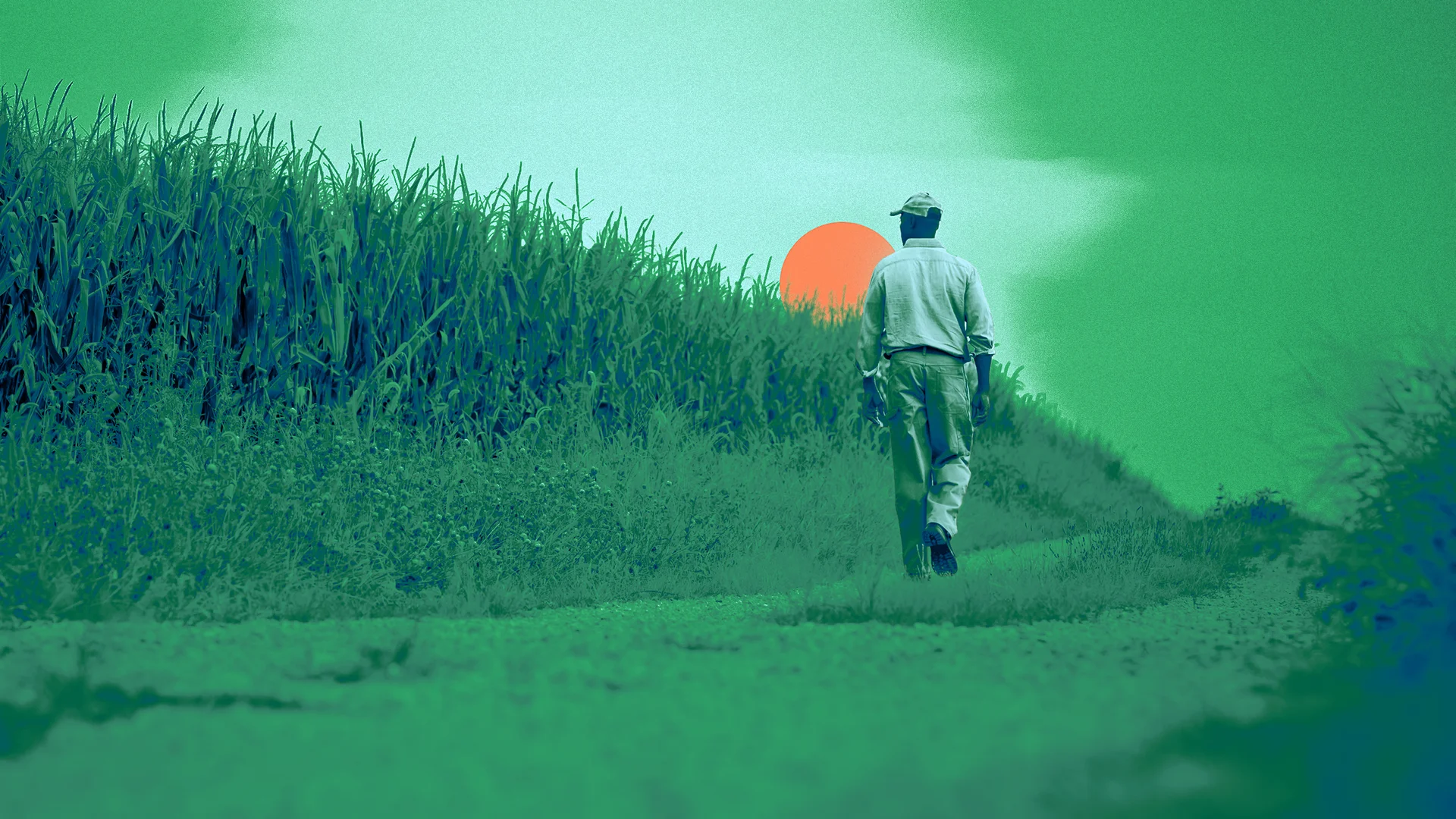 The hottest climate job you've never heard of
