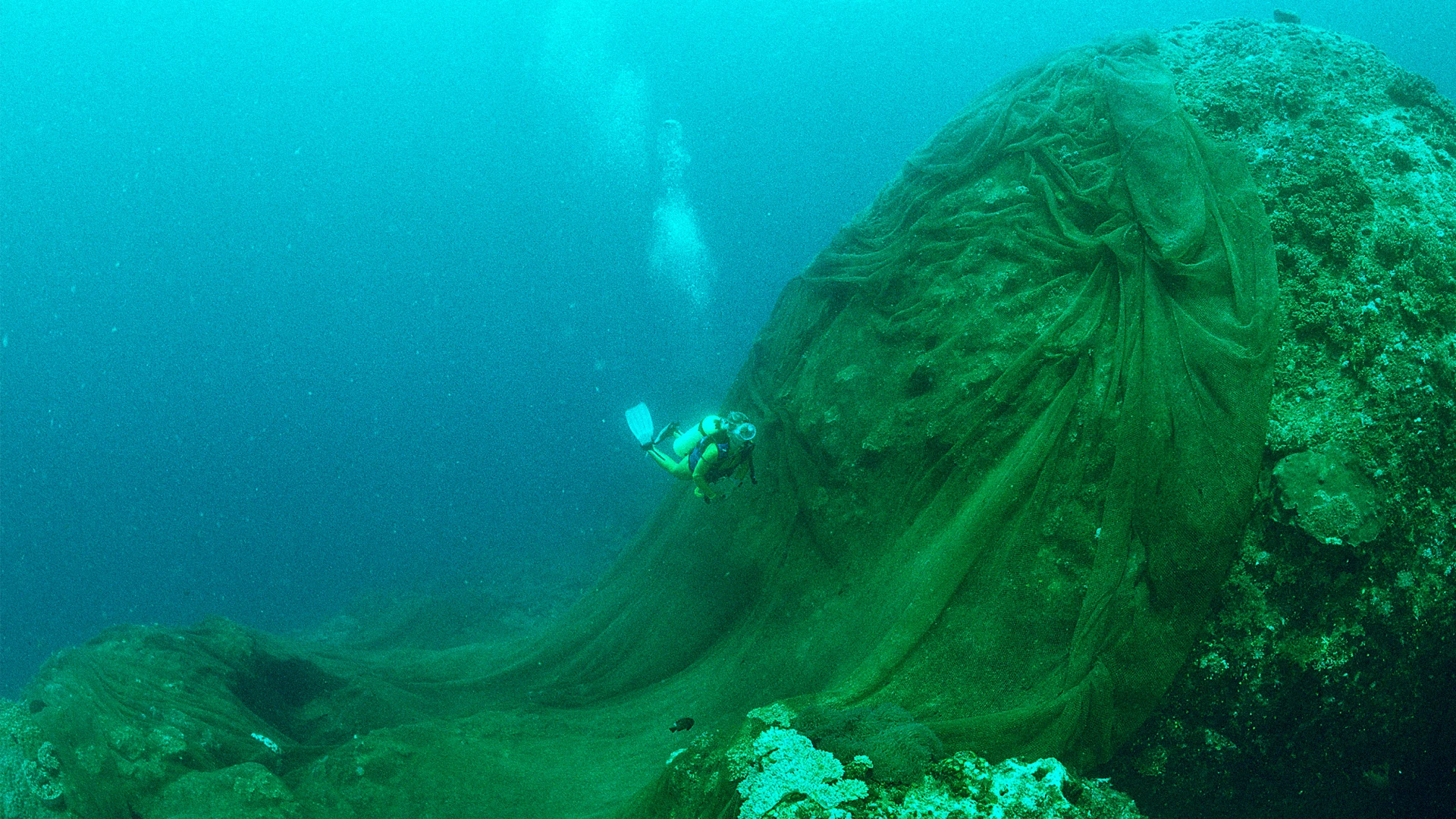 What is ghost gear? The most deadly form of ocean plastic pollution ...