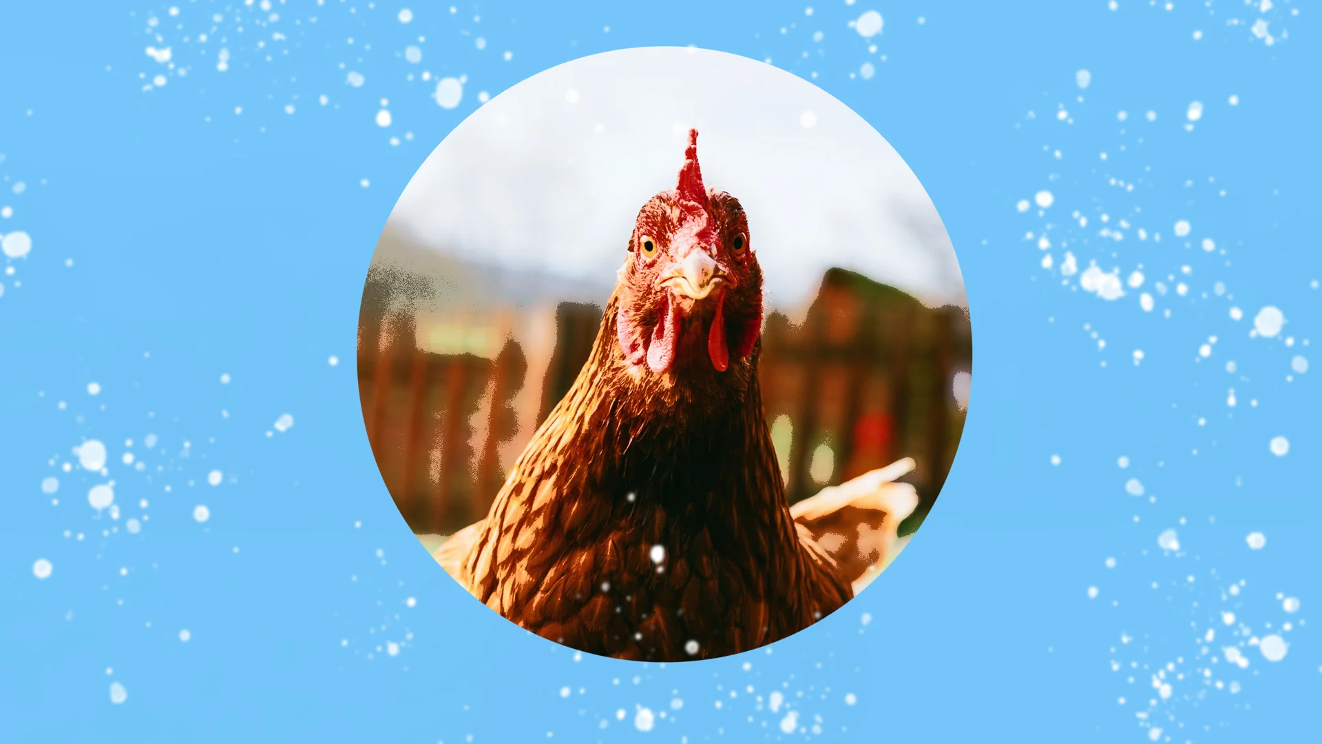 How to stop the office ‘Chicken Little’ from running amok
