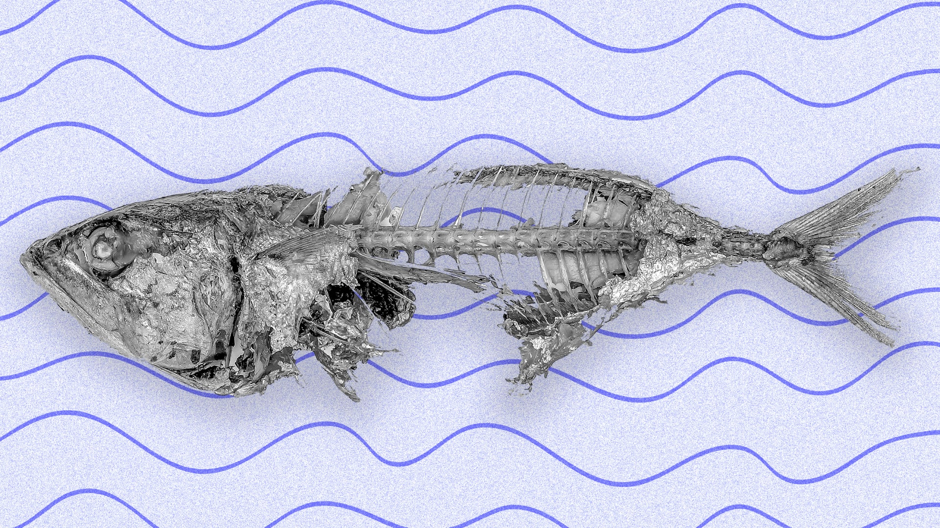 From energy drinks to skin grafts: Iceland uses 90% of its fish waste