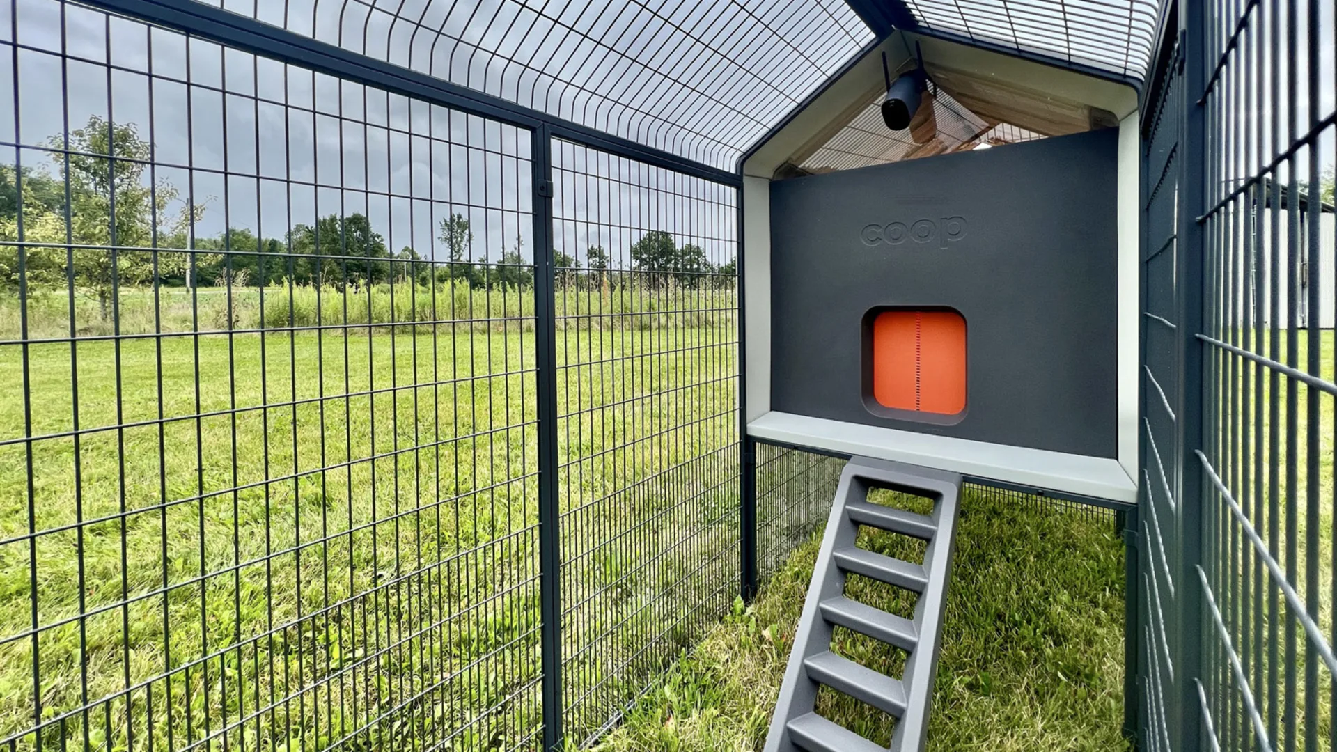 The smart home of the future is here—and it's for chickens