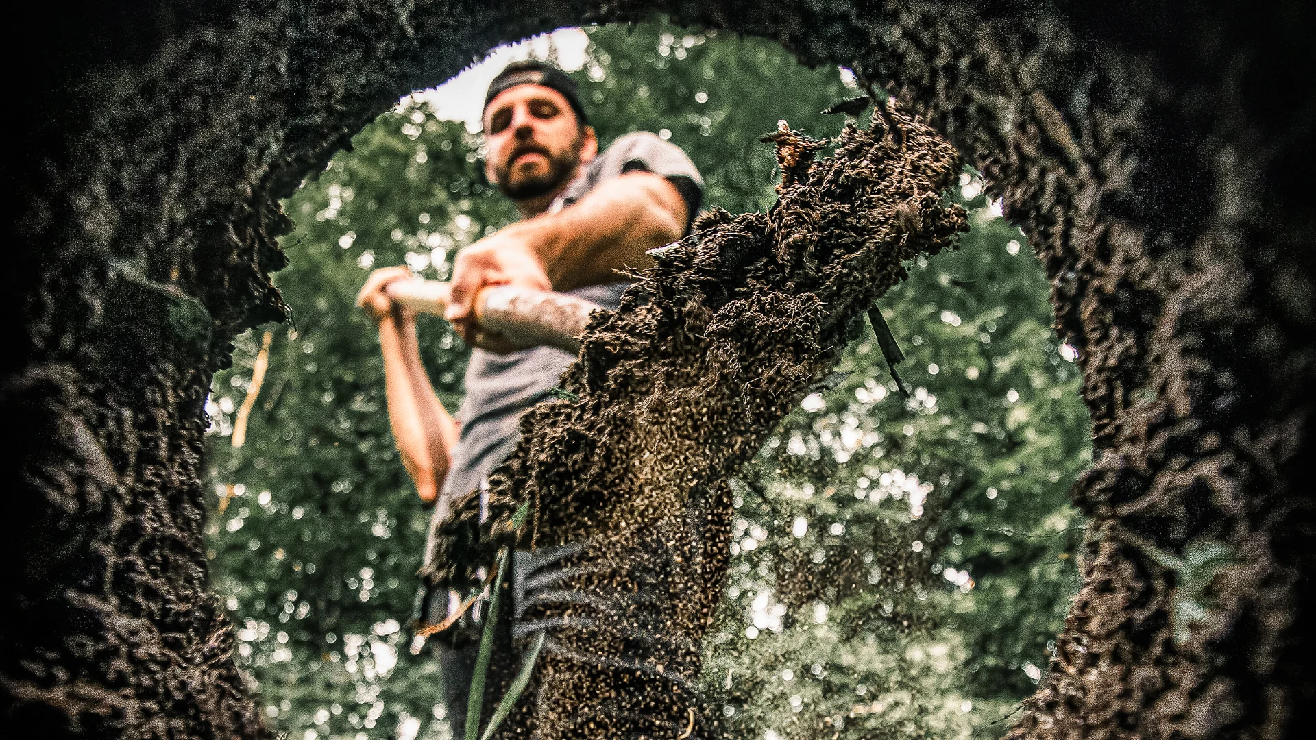 american climate corps - Fast Company