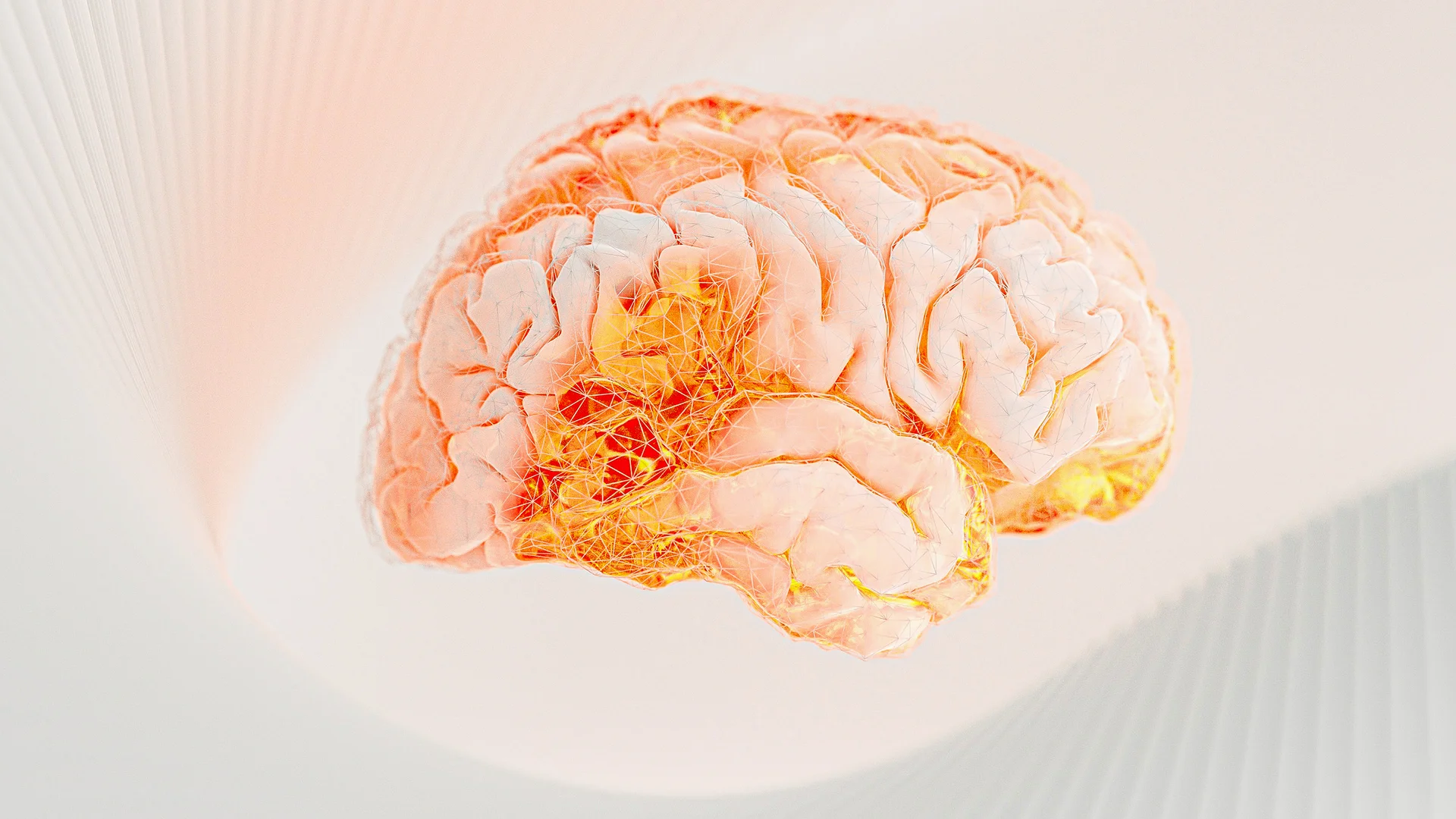 Scientists have created the largest map ever of the brain