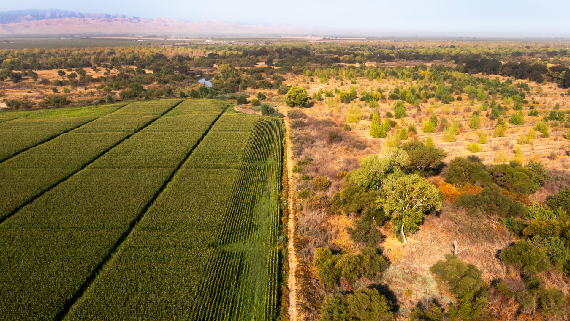 In California's Central Valley, one nonprofit has a unique approach to ...