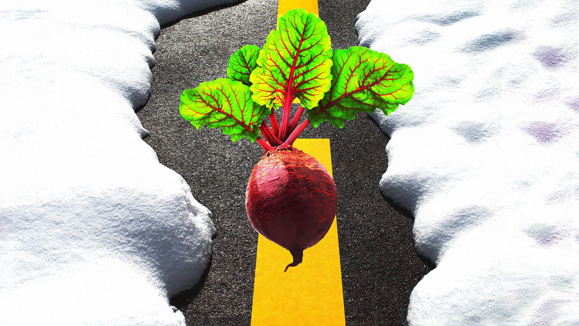As winter storms hit, this surprising vegetable is keeping roads clear