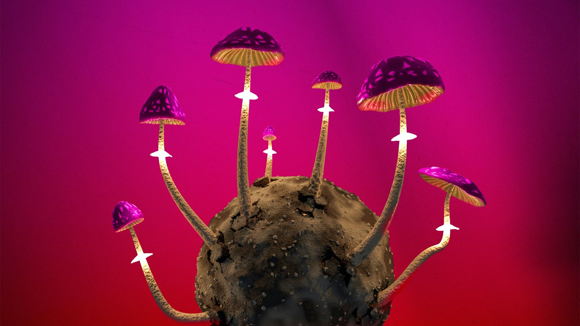 What leaders can learn from the psychedelic movement