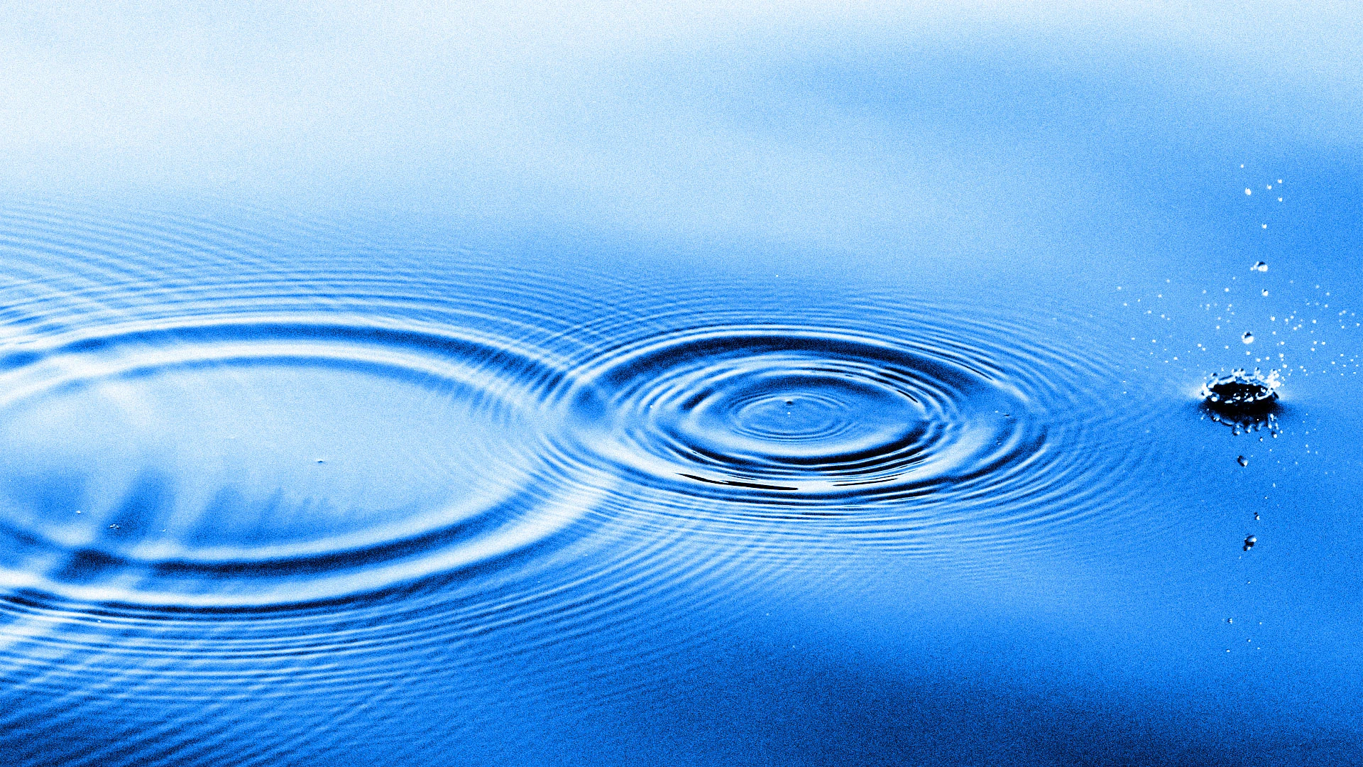 How to run your business when the only constant is change