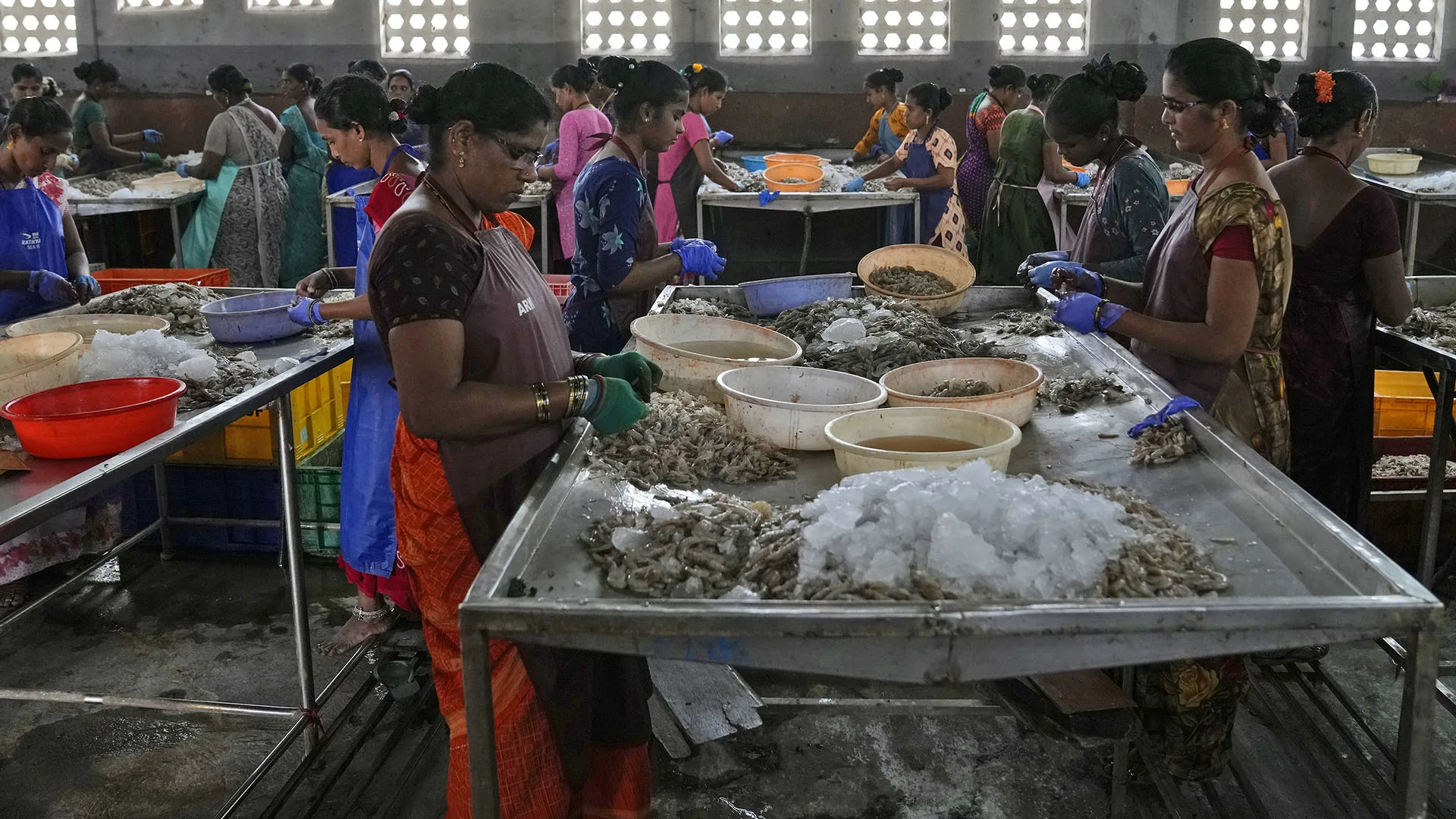 AP report of Indian shrimp industry reveals human rights violations and ...