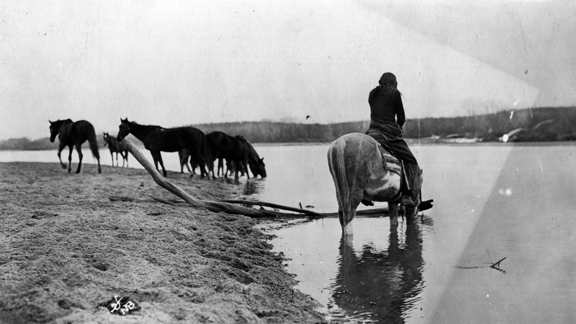 'Killers of the Flower Moon': How the Osage people were vulnerable to ...