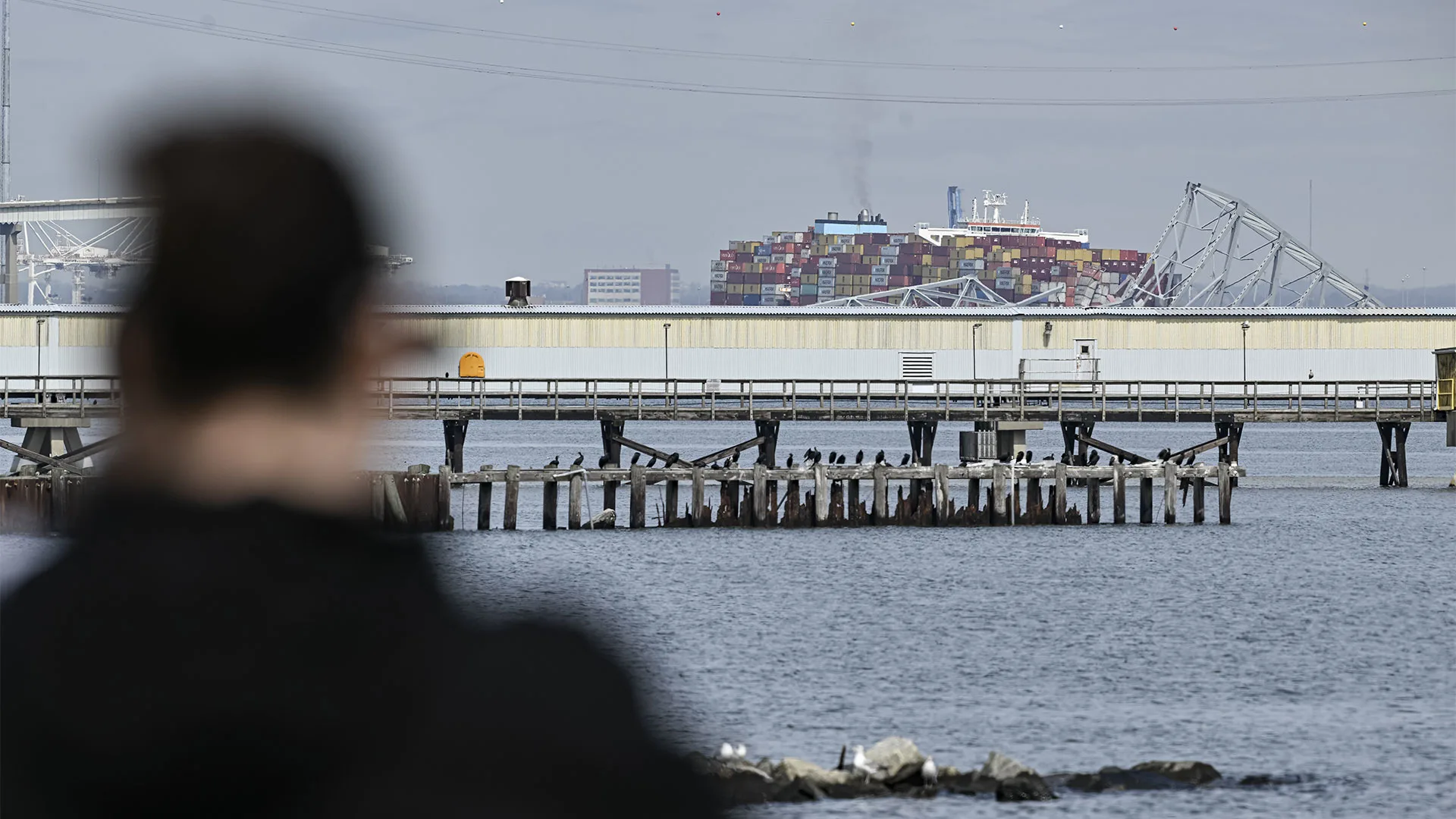 It took minutes for some to blame DEI for Baltimore's bridge accident