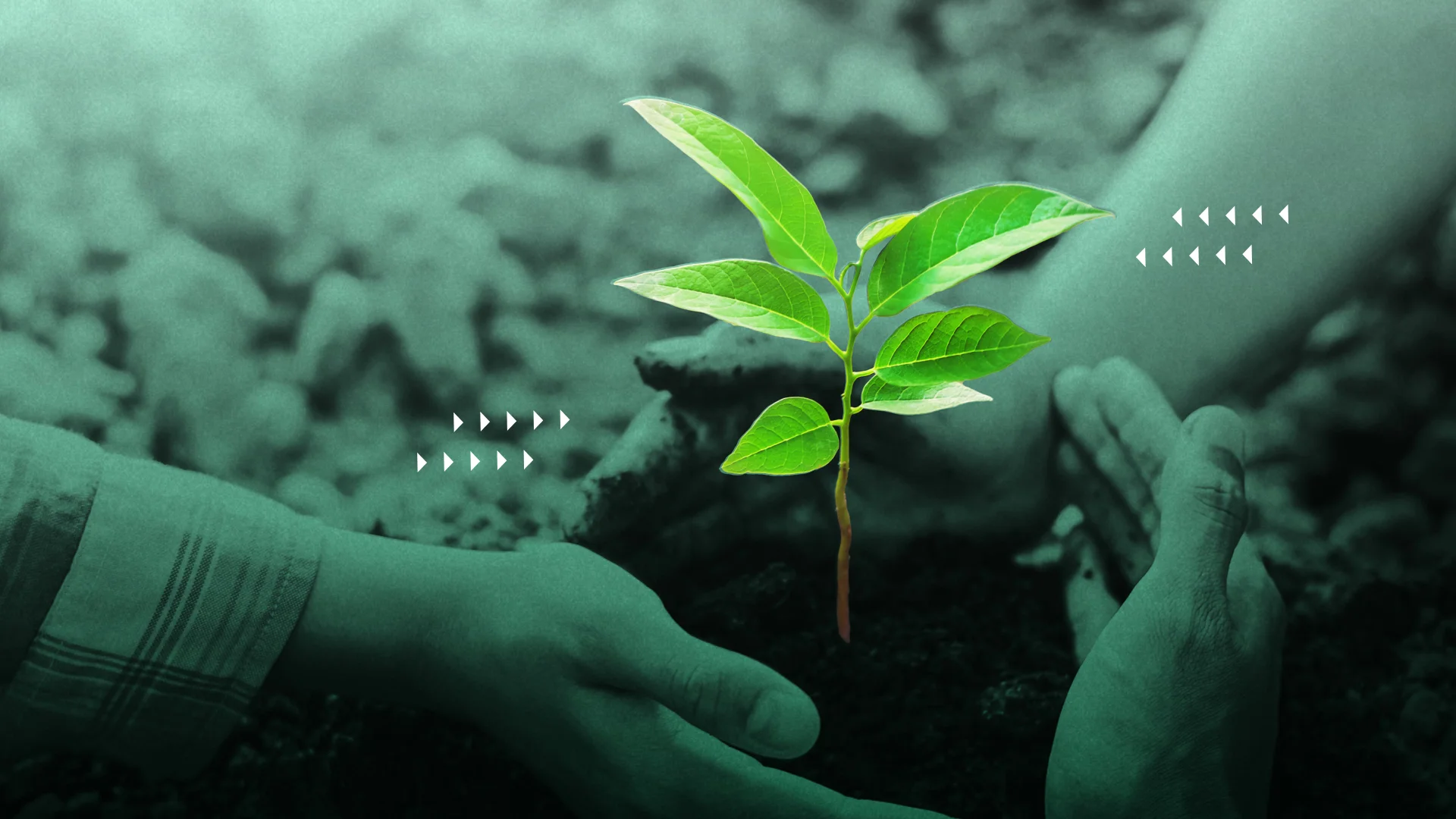The ROI of giving back: Measuring the tangible benefits of corporate ...