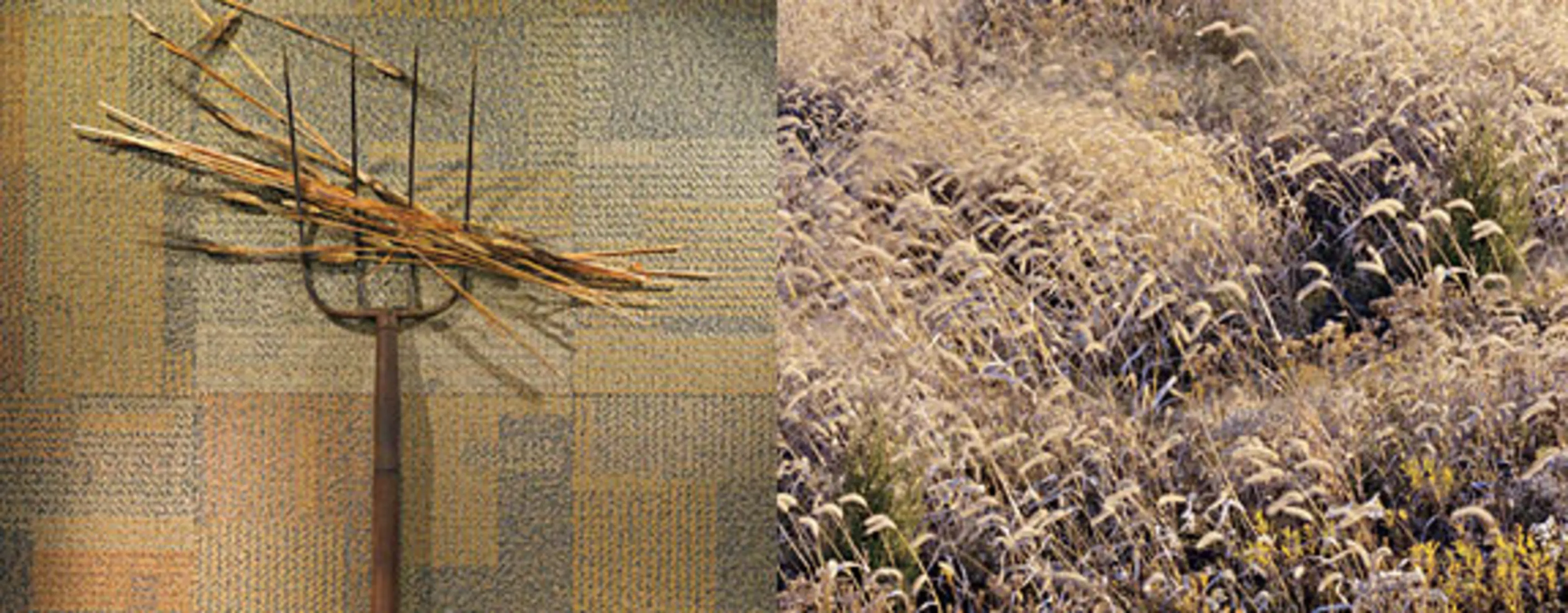 Biomimicry: Nature-Inspired Designs - Fast Company