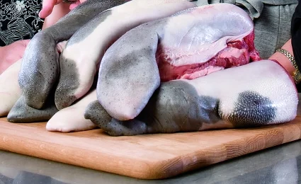 Beefonomics: Cargill Meat Solutions Turns Trash to Cash - Fast Company