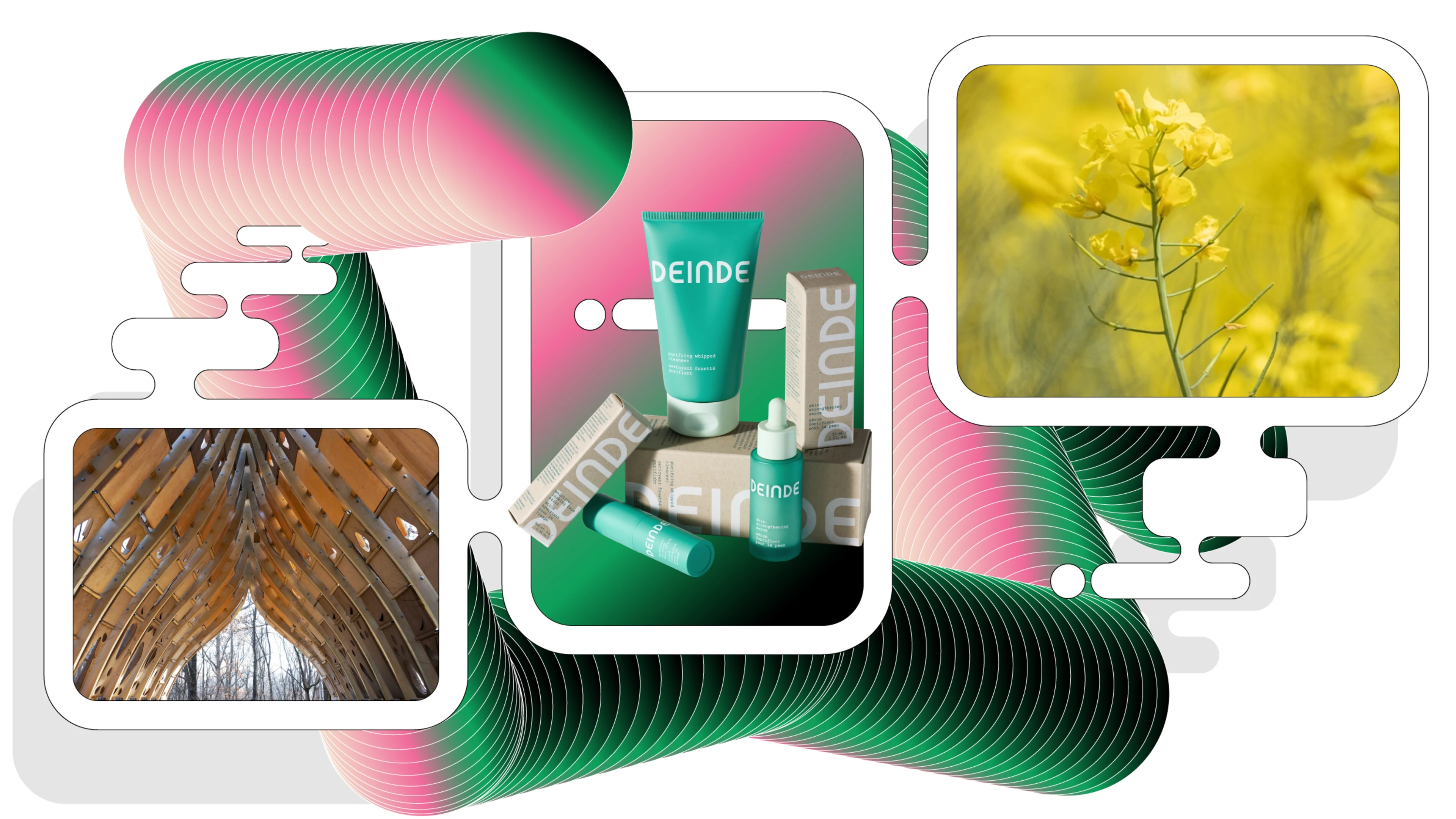 Innovation by Design 2024: The best biodesign of 2024 - Fast Company