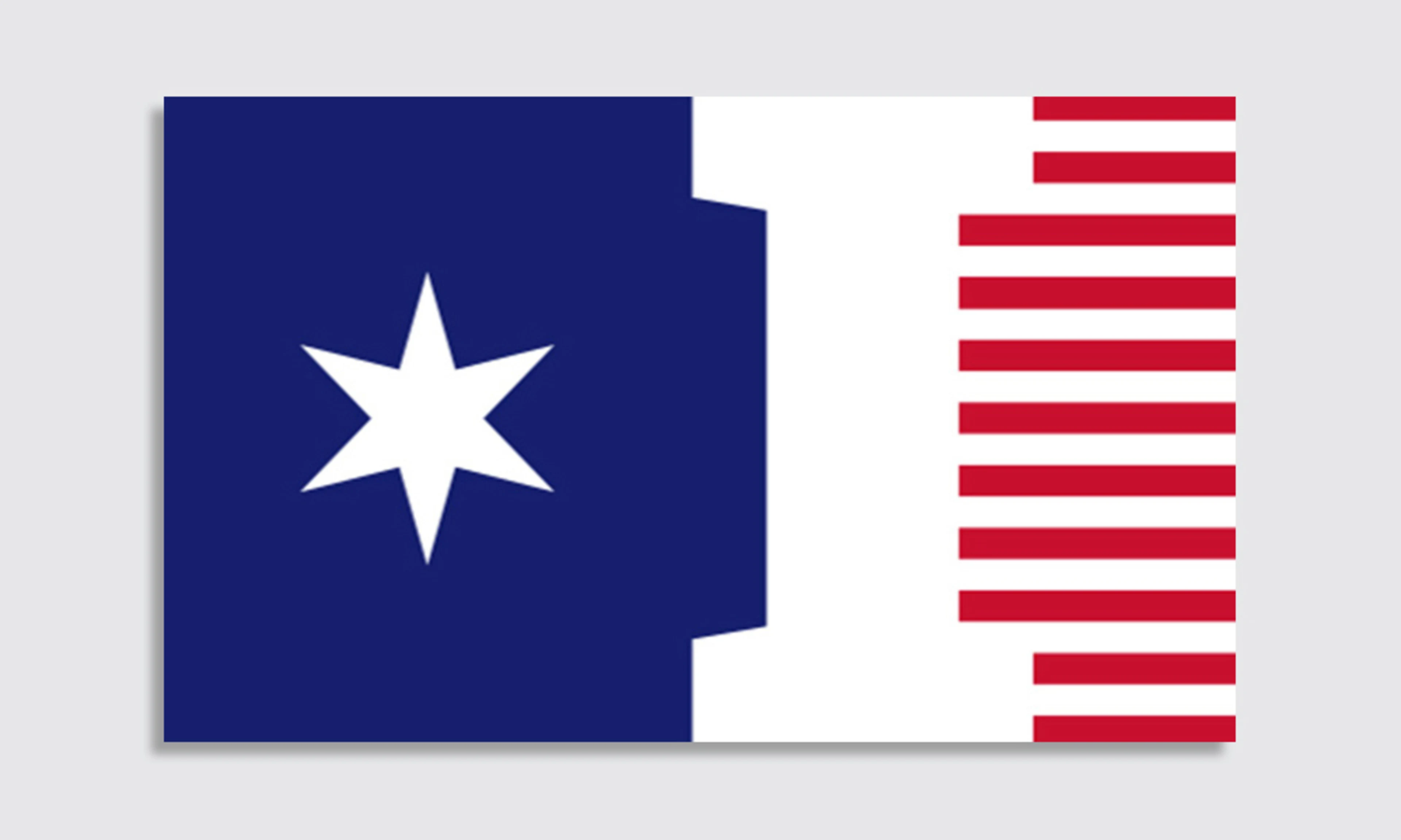 These are the finalists for Illinois' new state flag - Fast Company