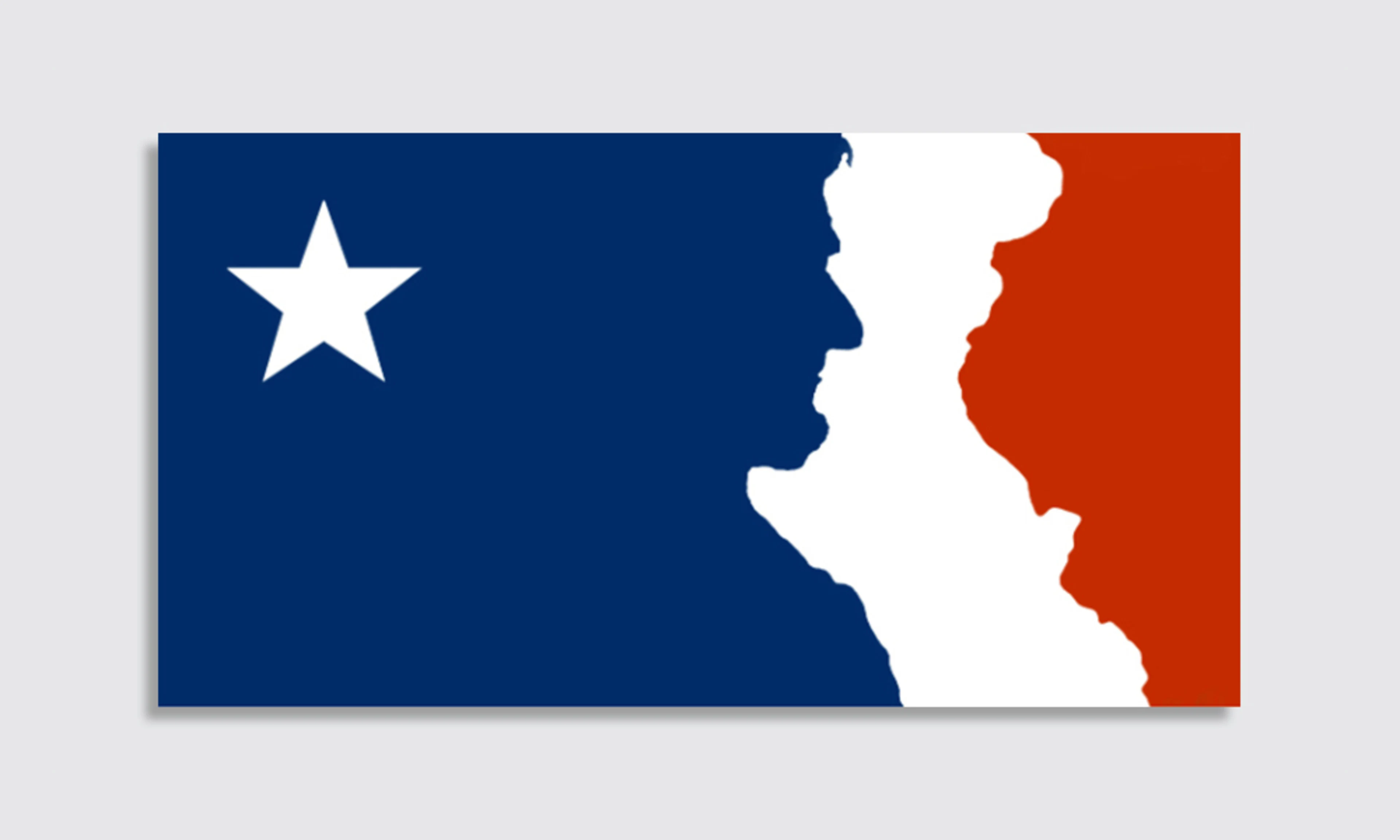 These are the finalists for Illinois' new state flag - Fast Company