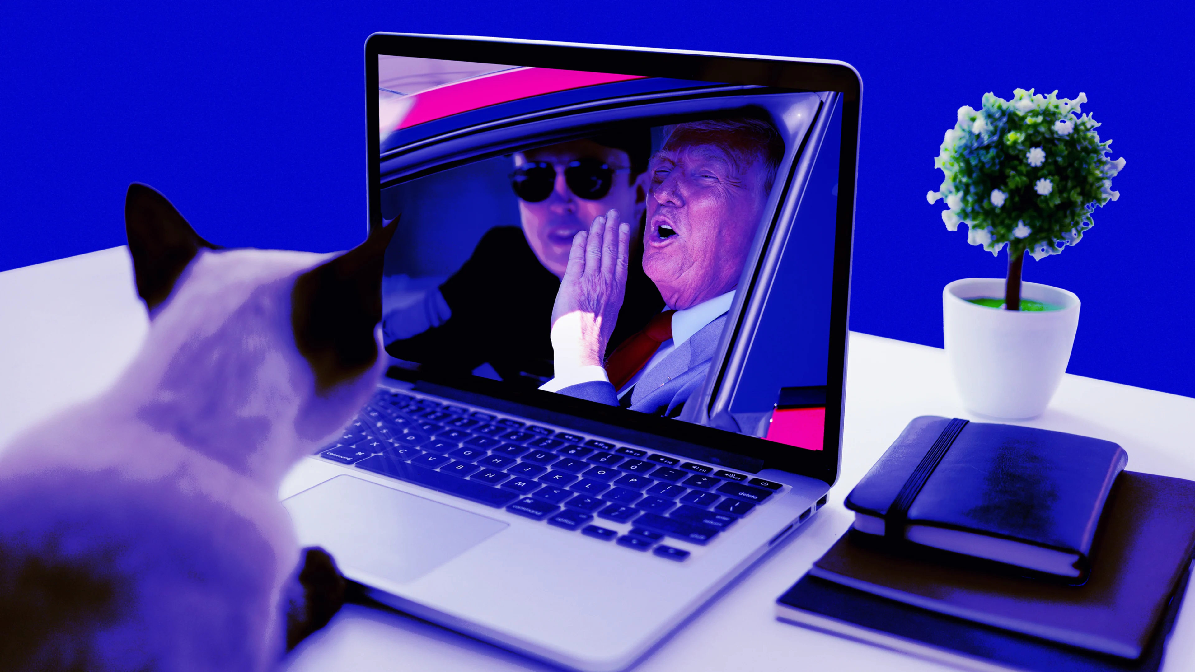 'Everything’s Computer': How Trump’s Tesla bit sparked a meme frenzy ...