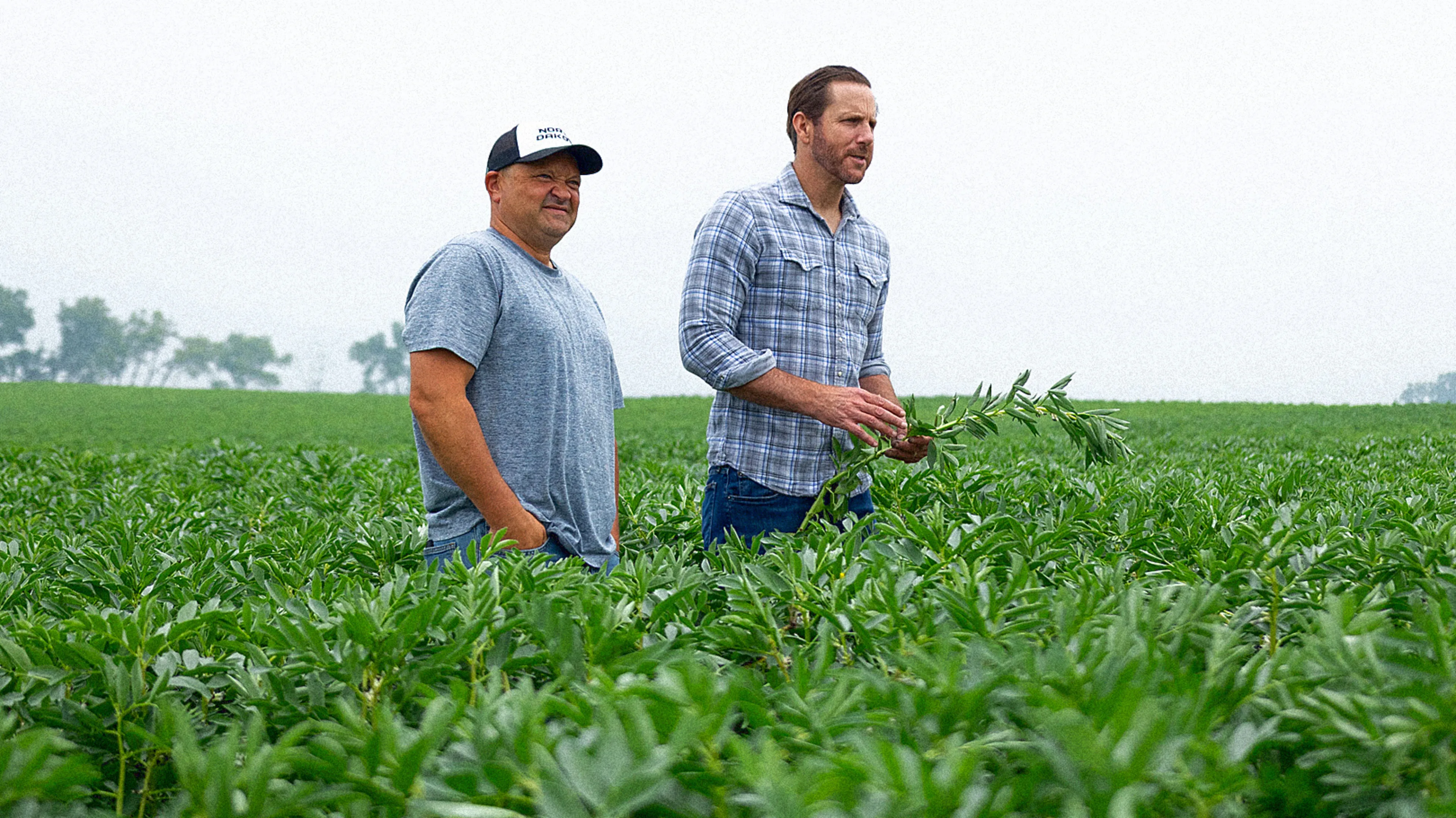 Inside Beyond Meat’s protein-fueled pivot to ‘Beyond’ - Fast Company