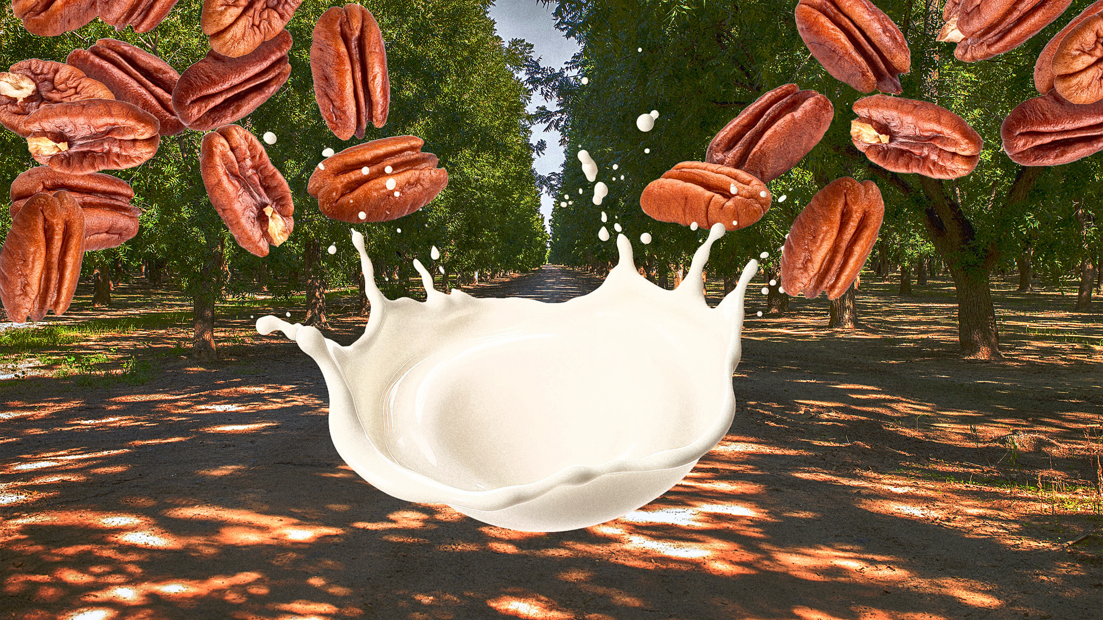 Why pecan milk is suddenly crushing it - Fast Company