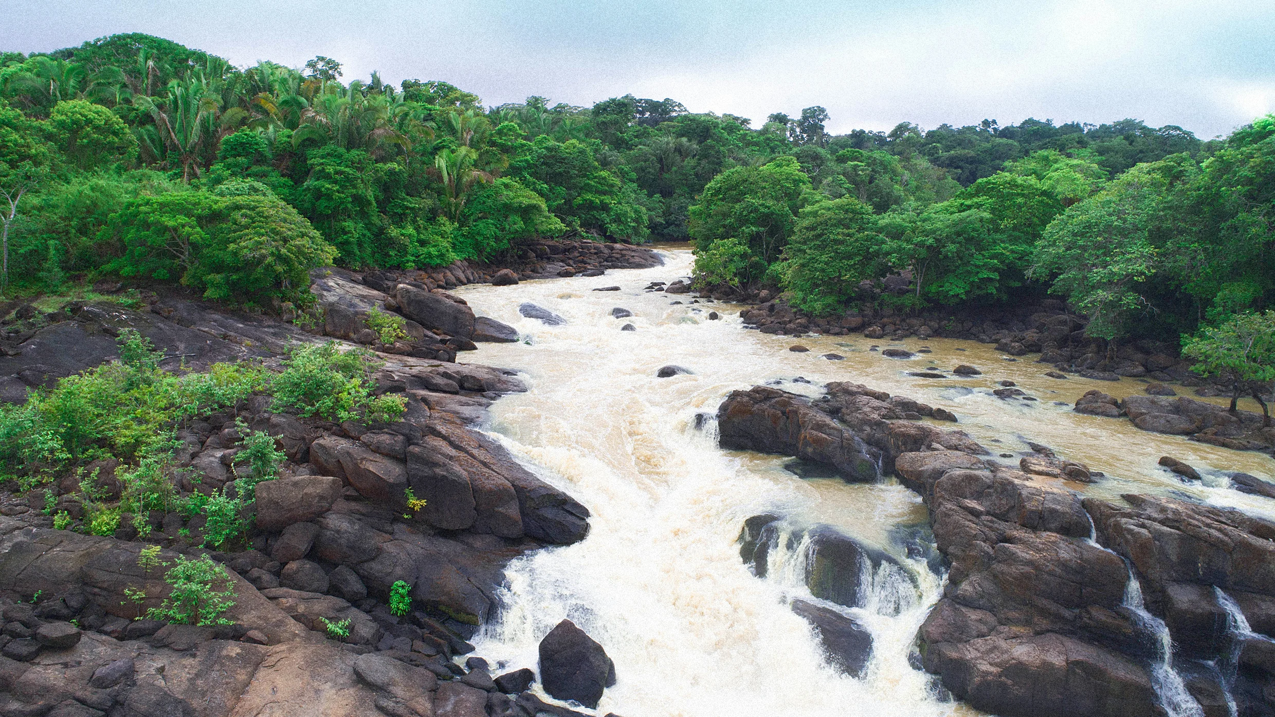 Are deforestation-preventing carbon credits legitimate?