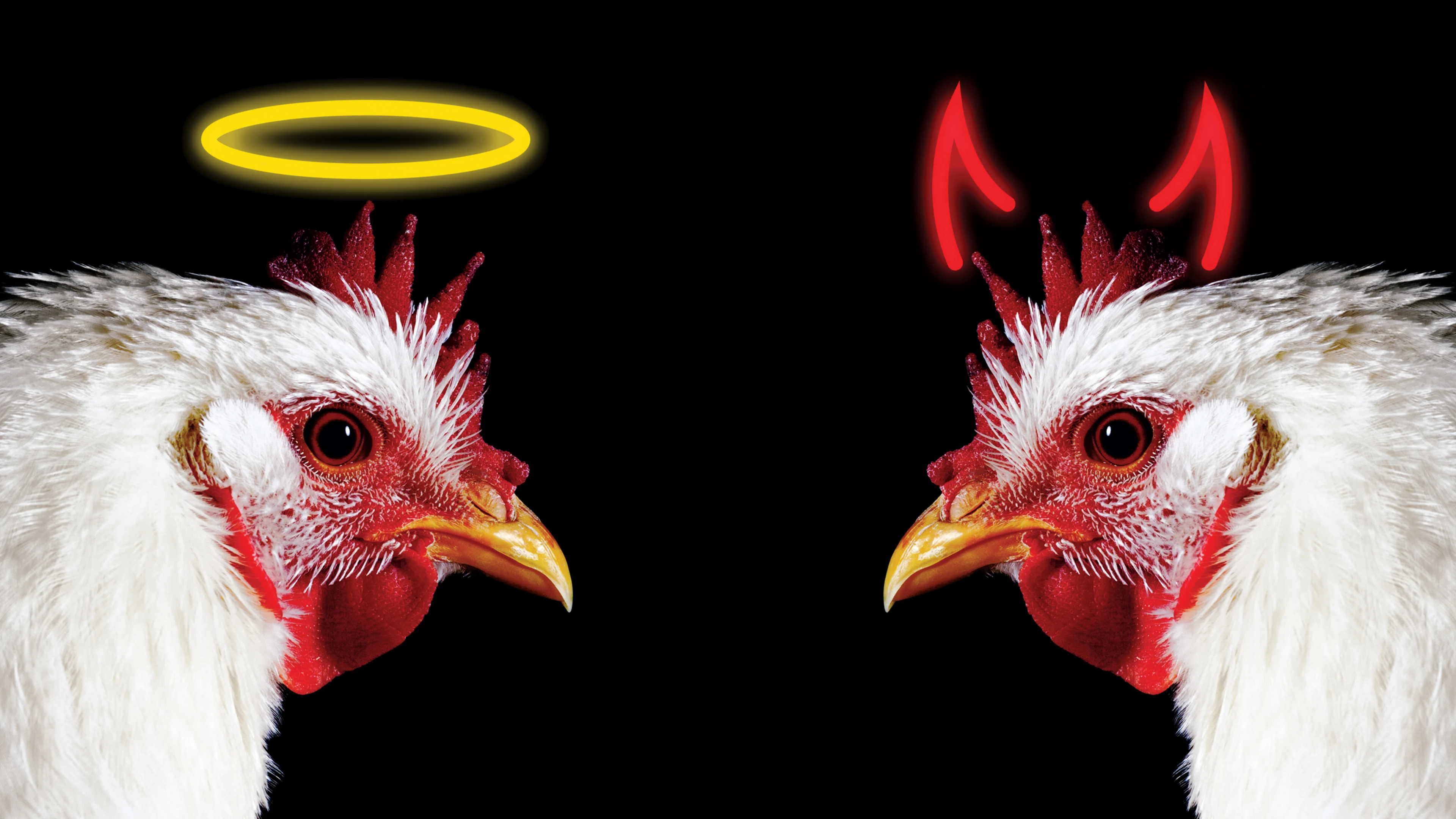 chick fil a logo evolution