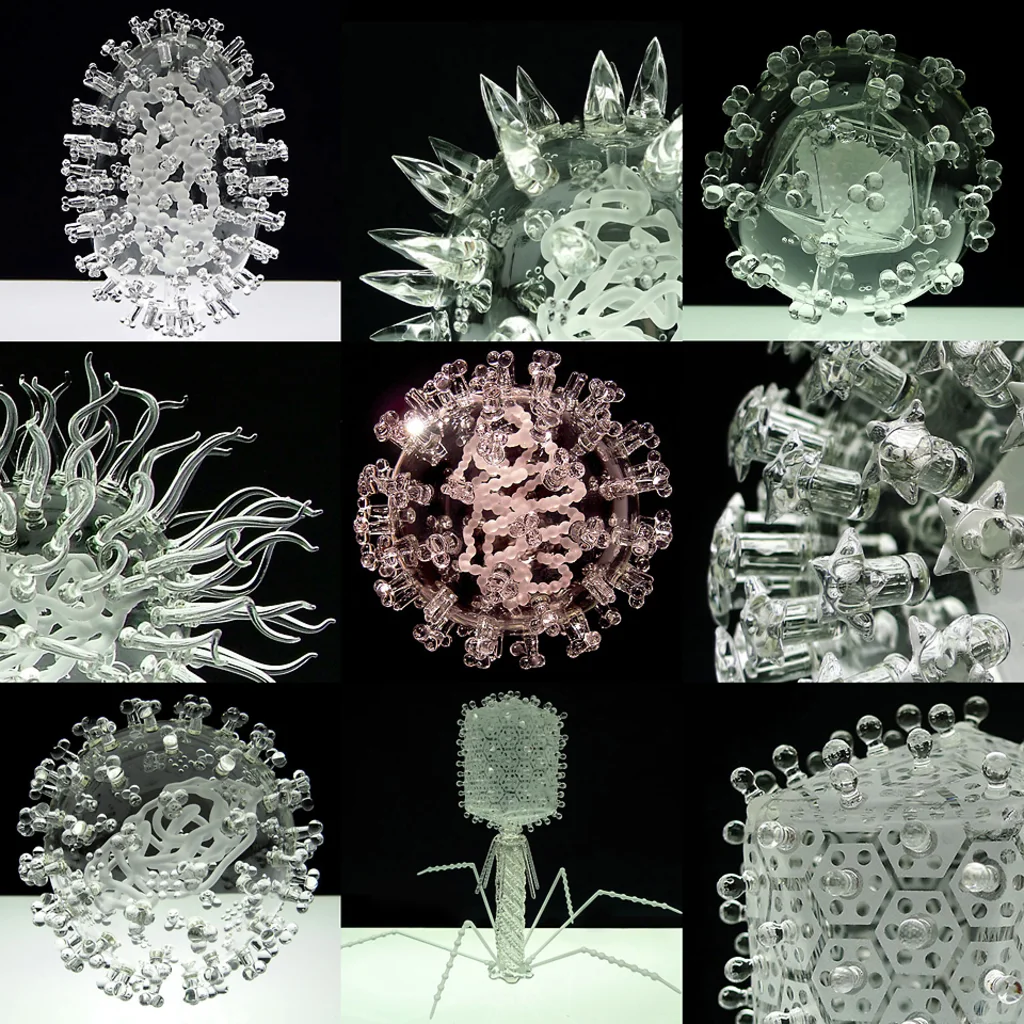 Deadly Diseases Are Less Scary When They're Beautiful Glass Sculptures ...