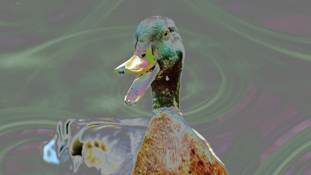 Those AI-generated ducks on X are part of a racist MAGA lie - Fast Company