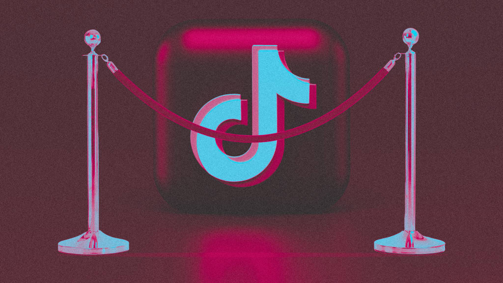 TikTok expands its subscription feature for creators - Fast Company