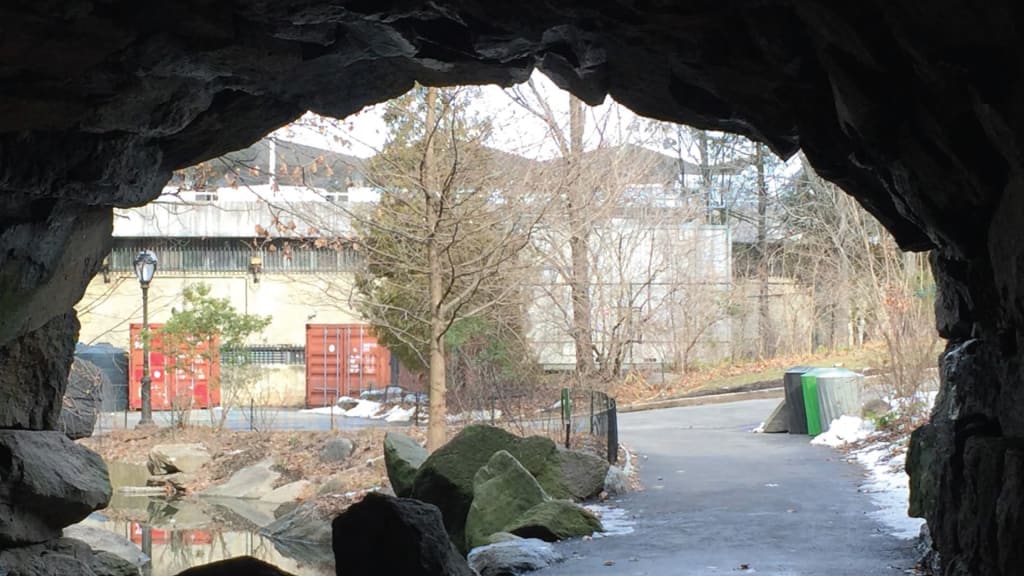 Central Park's new Davis Center will disappear into the landscape ...