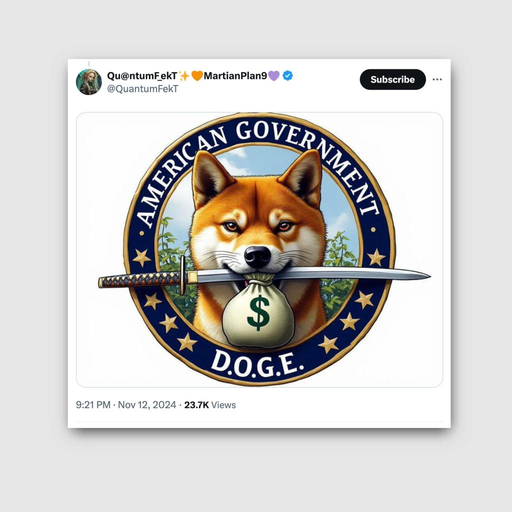 Elon Musk’s D.O.G.E. is getting the meme-ified branding it deserves ...