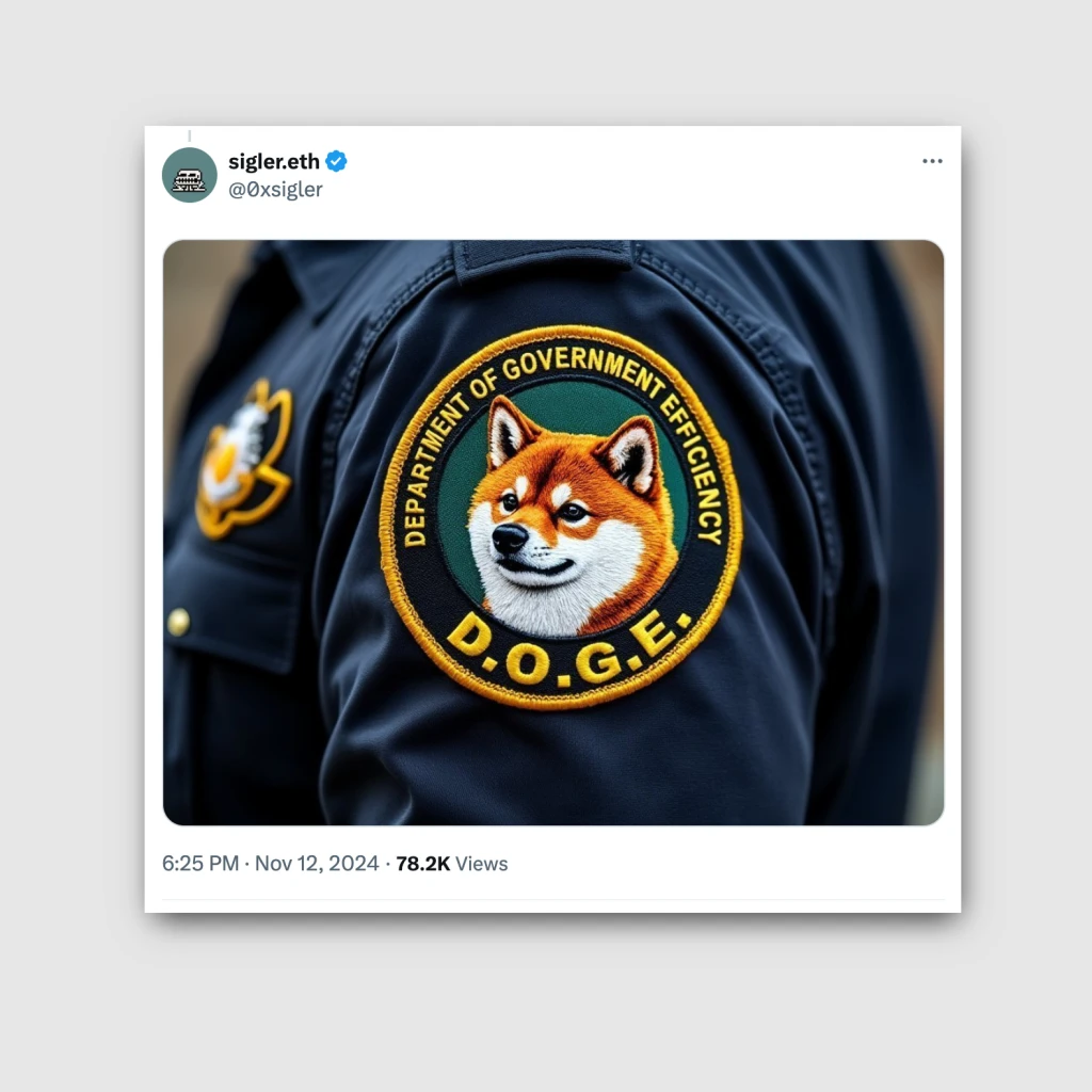 Elon Musk’s D.O.G.E. is getting the meme-ified branding it deserves ...