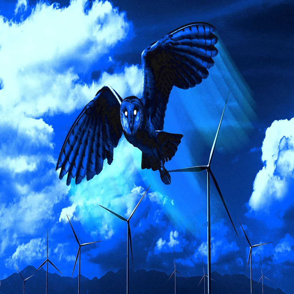These nearly silent wind turbines have owl-inspired 'feathers' - Fast ...