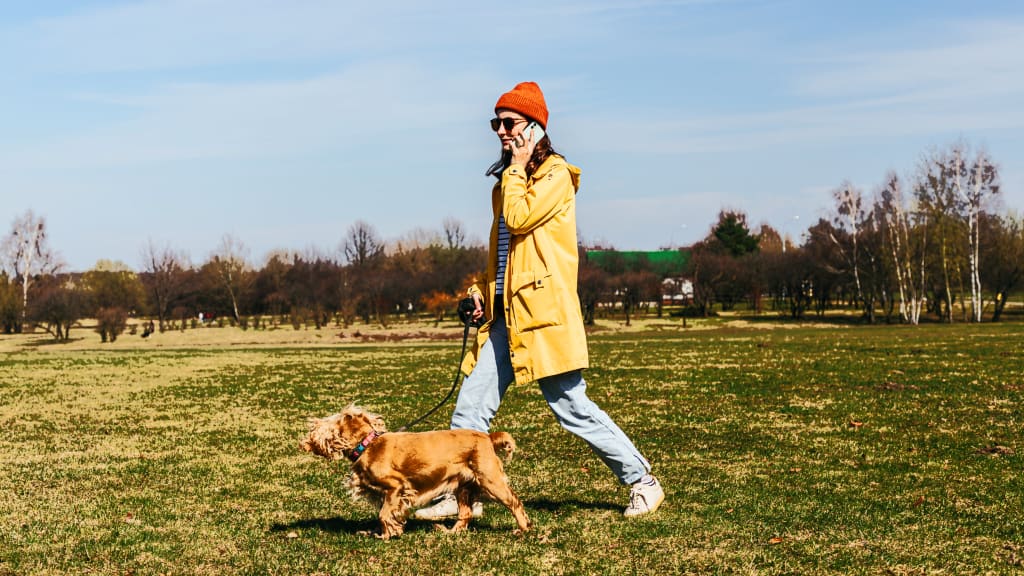Creative networking: 9 professionals on ways to form connections - Fast ...